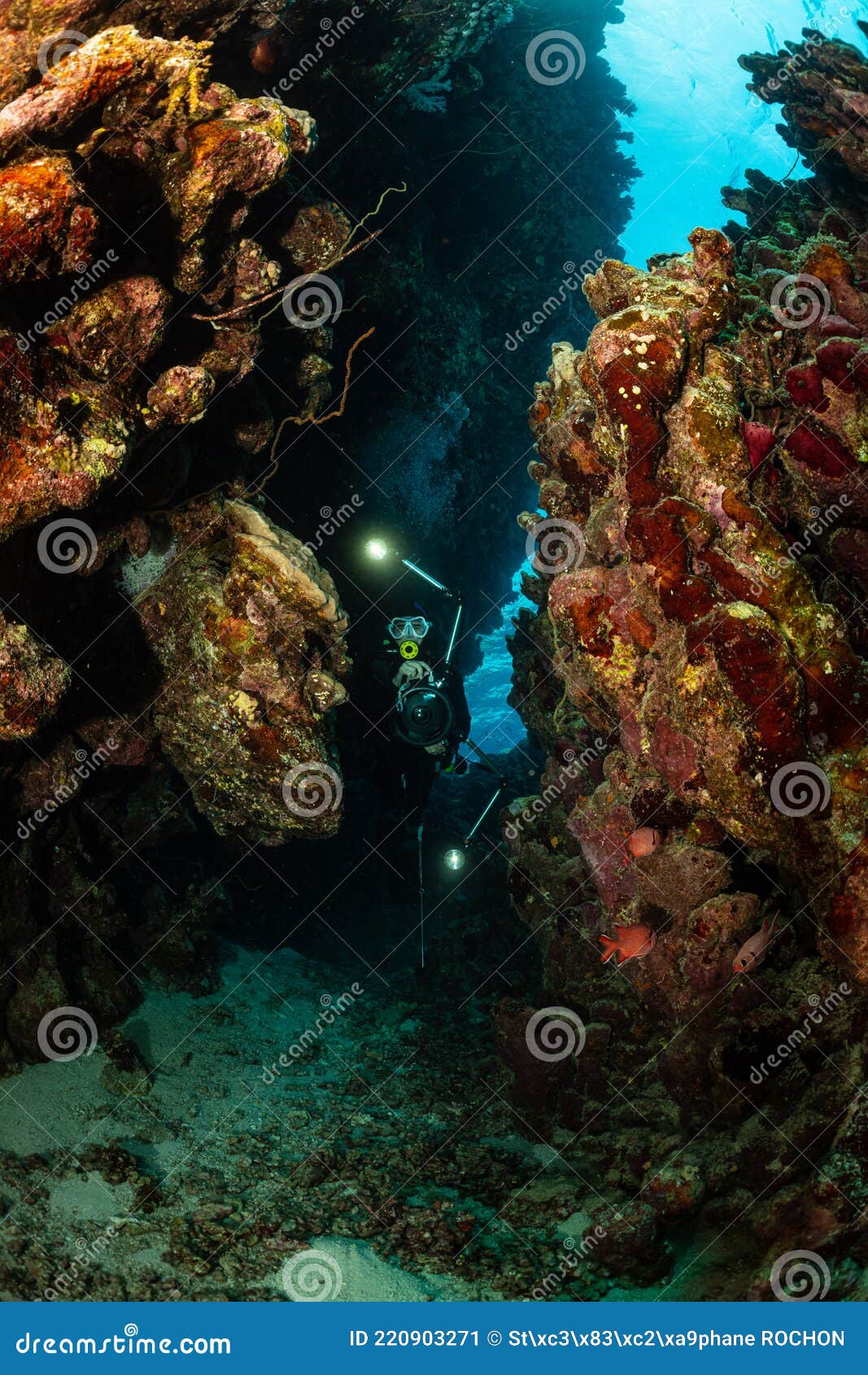 Typical Underwater Cave in a Red Sea Reef Stock Image - Image of ...