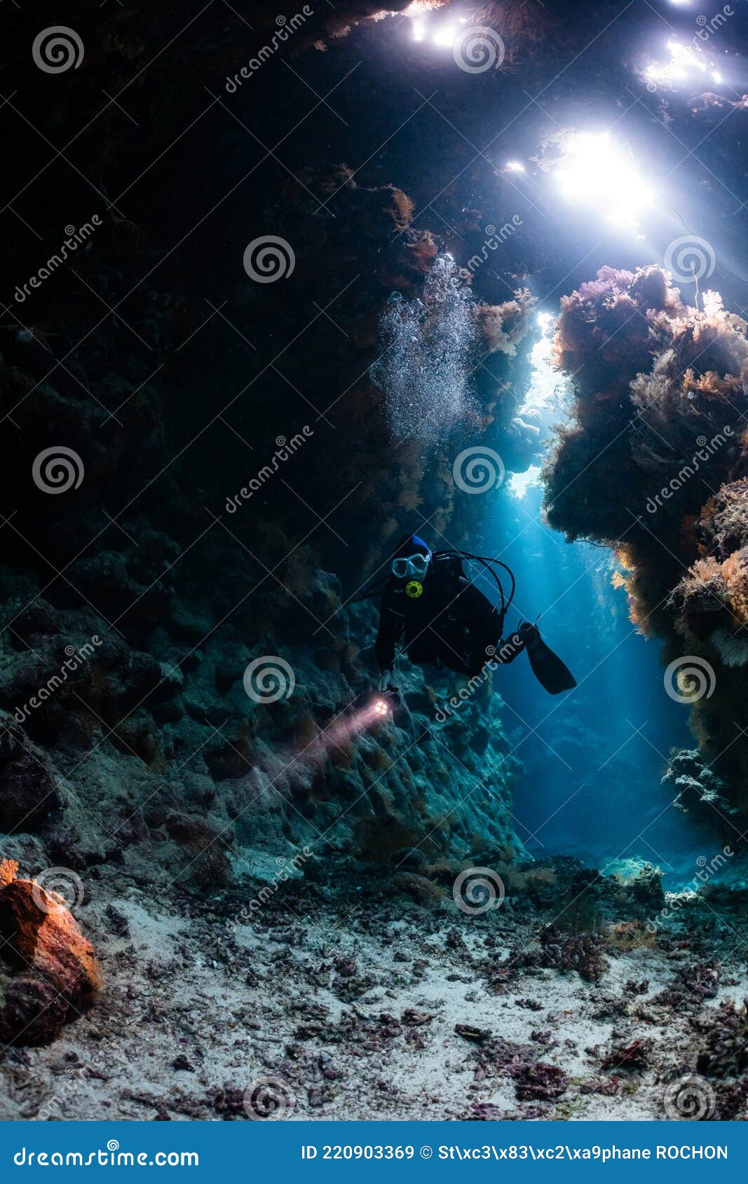 Typical Underwater Cave in a Red Sea Reef Stock Image - Image of ...