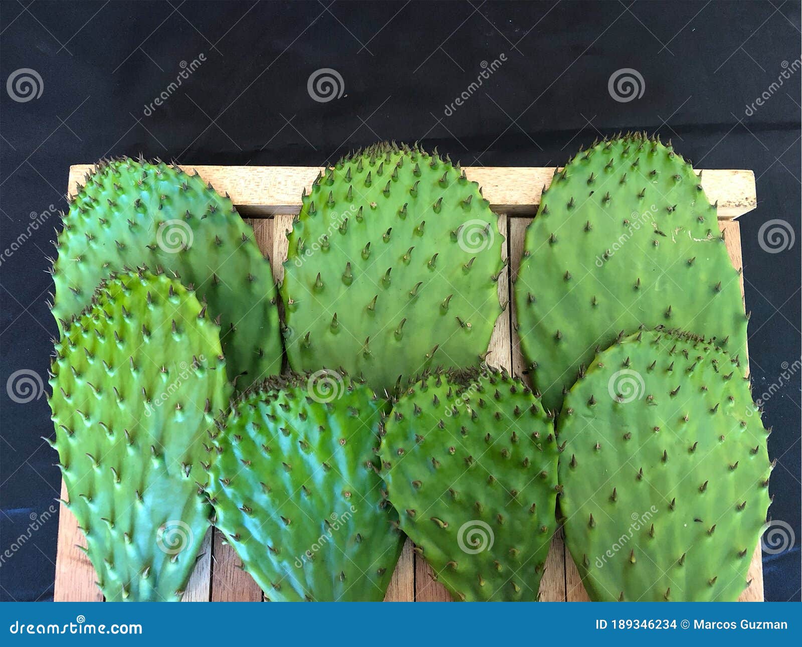 Nopals stock photo. Image of juice, mexico, area, cactus - 189346234