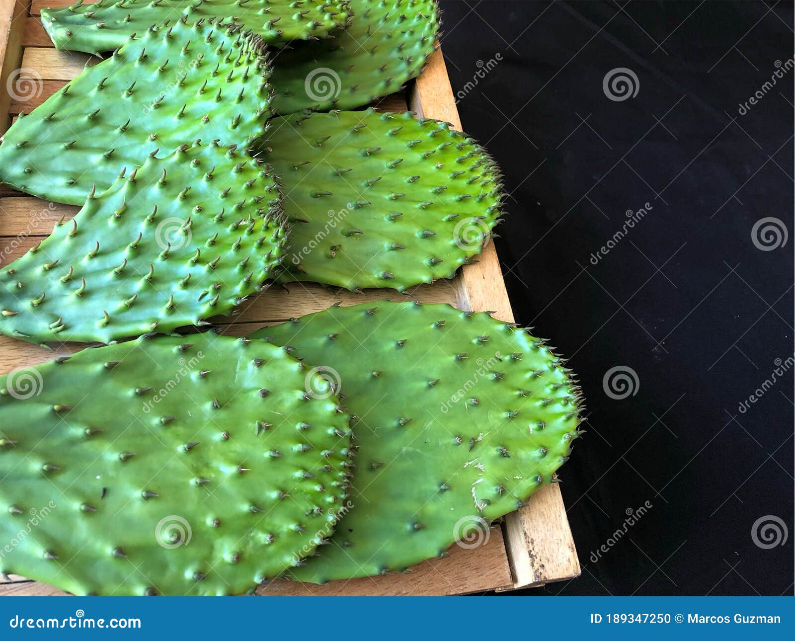 Nopals stock photo. Image of extract, juice, closeup - 189347250