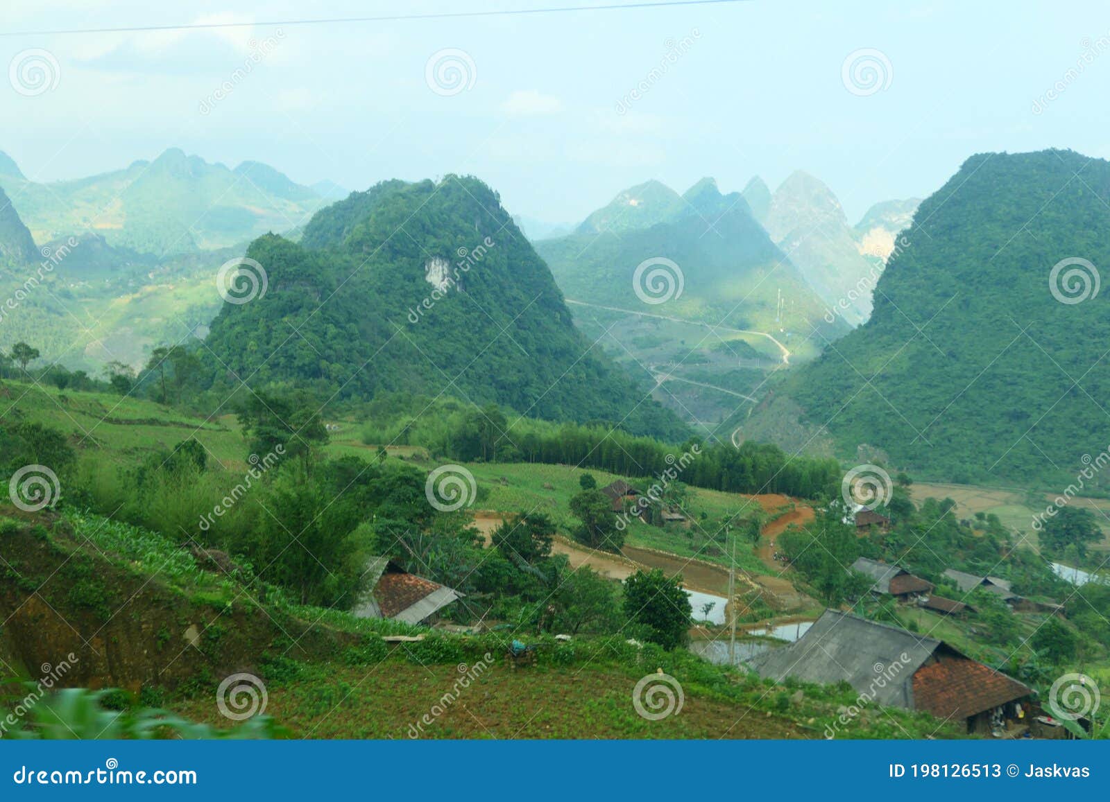 Typical Vietnamese Landscape in Spring with Rice Fields Stock Image ...