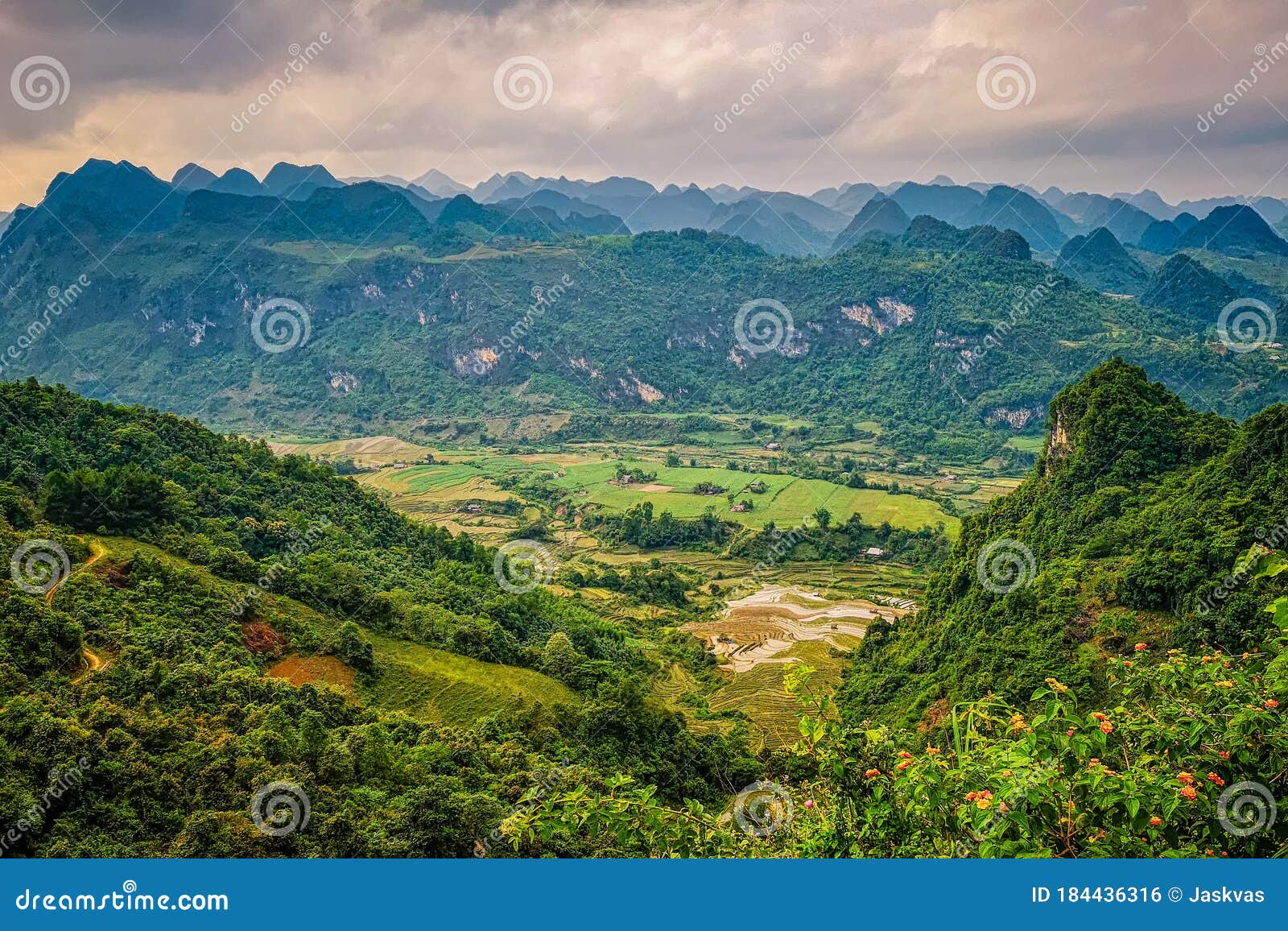 Typical Vietnamese Landscape in Spring with Rice Fields Stock Photo ...