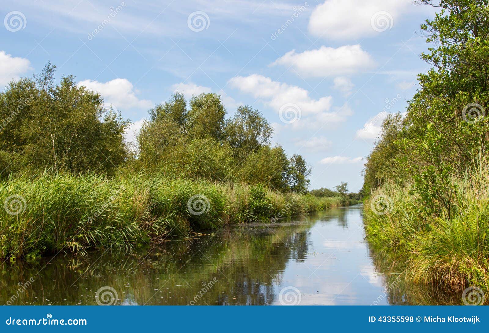 Typical View of a the Swamp in National Park Weerribben Stock Photo ...