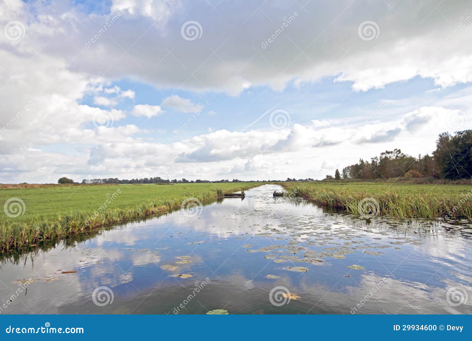 Typical Wide Dutch Landscape in the Netherlands Stock Photo - Image of ...