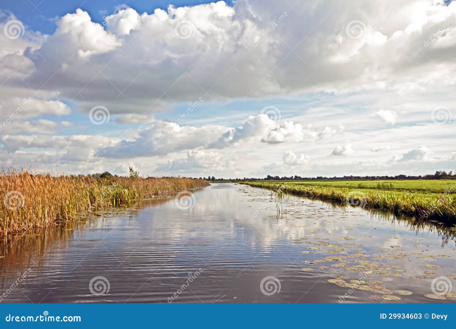 Typical Wide Dutch Landscape in the Netherlands Stock Image - Image of ...