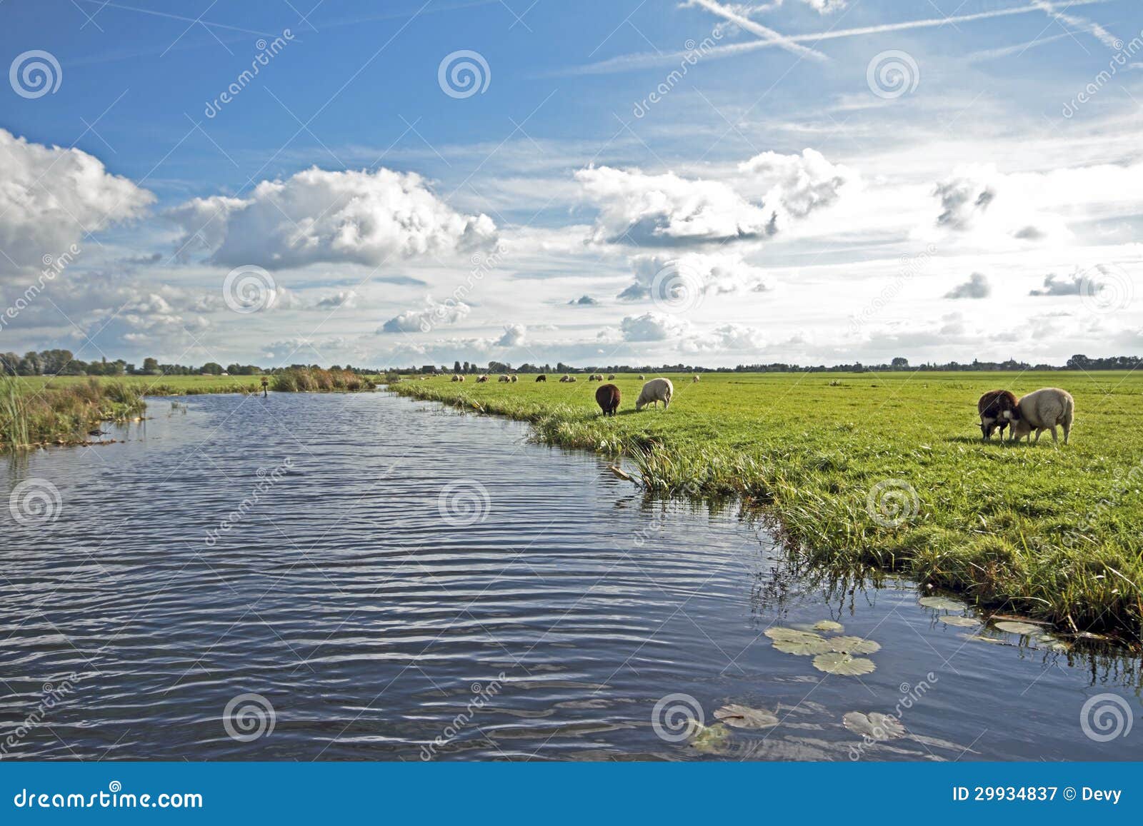Typical Wide Dutch Landscape in the Netherlands Stock Image - Image of ...