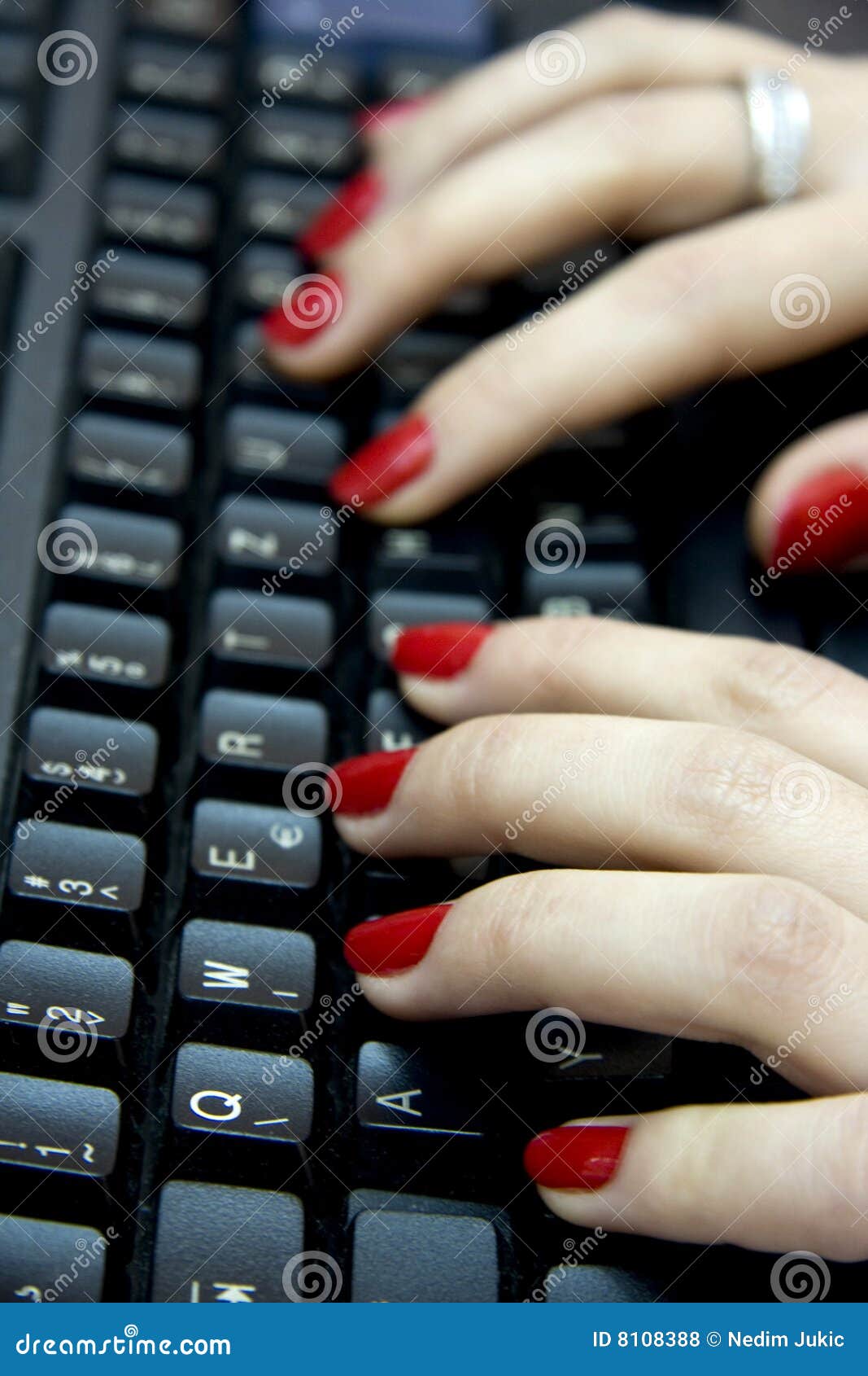 Typing stock photo. Image of numbers, office, computer - 8108388