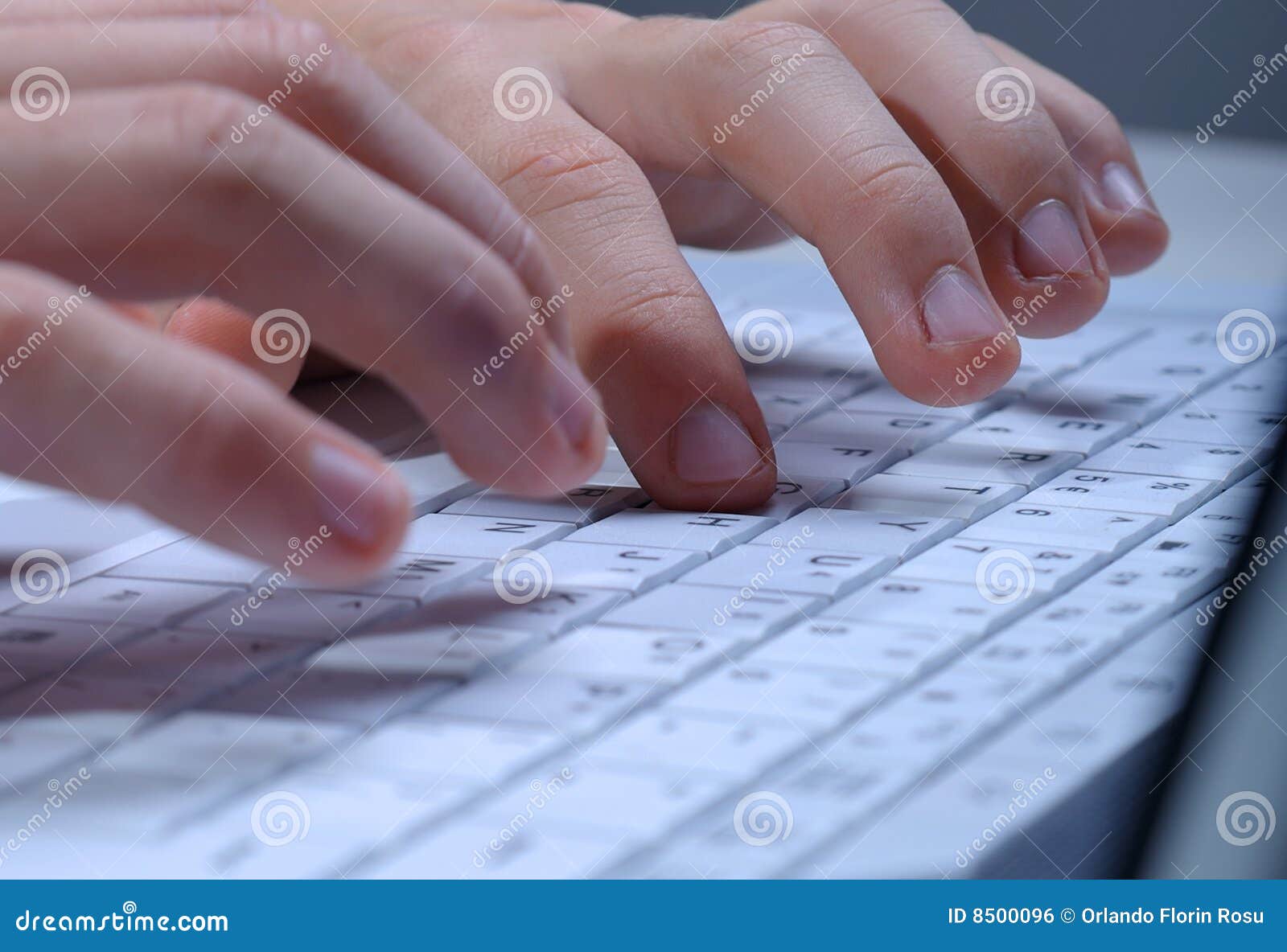 Typing stock photo. Image of working, hands, laptop, blue - 8500096