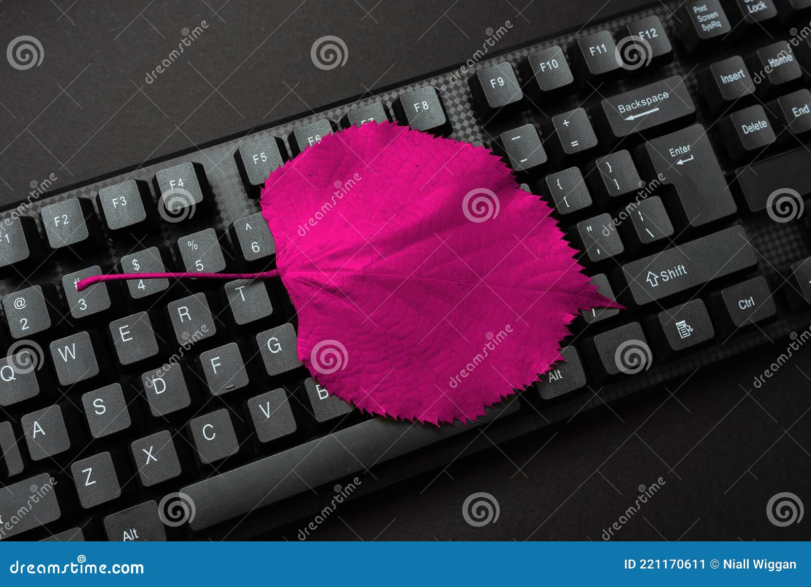 Typing Advance Lesson Lecture Plans, Typewriting New Article Pages ...