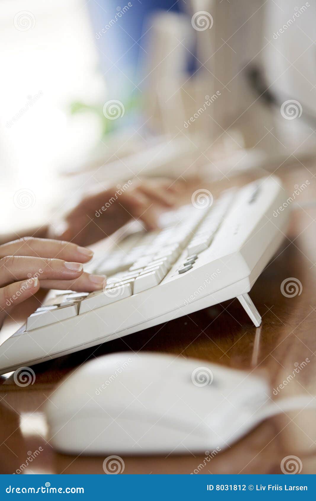 Typing close up stock photo. Image of working, computer - 8031812