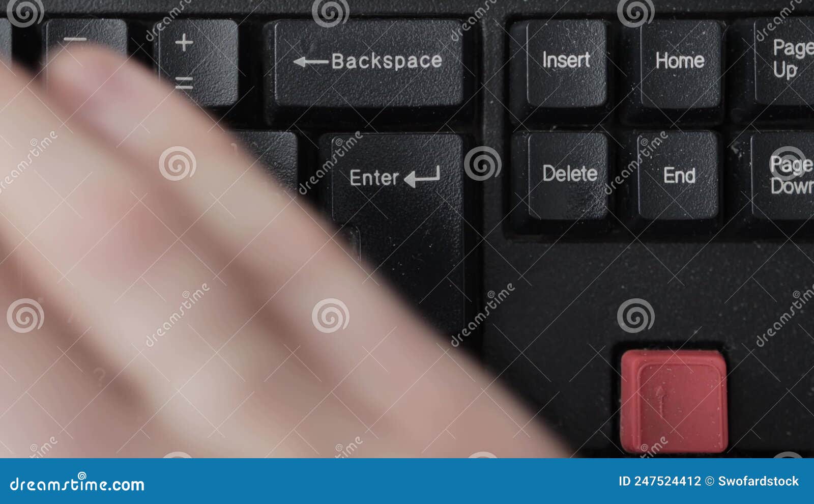 Typing on the Computer Keyboard and Pressing the Enter Key. Entering ...