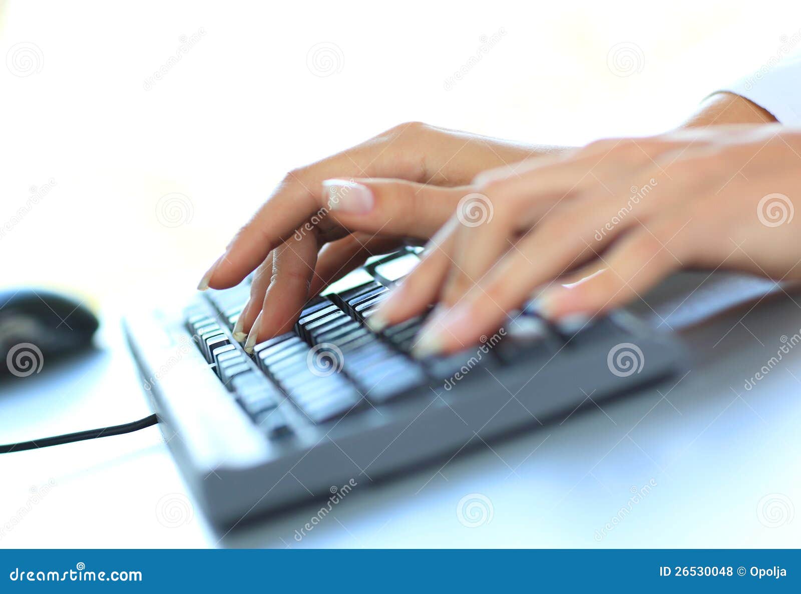 Typing female hands stock photo. Image of occupation - 26530048
