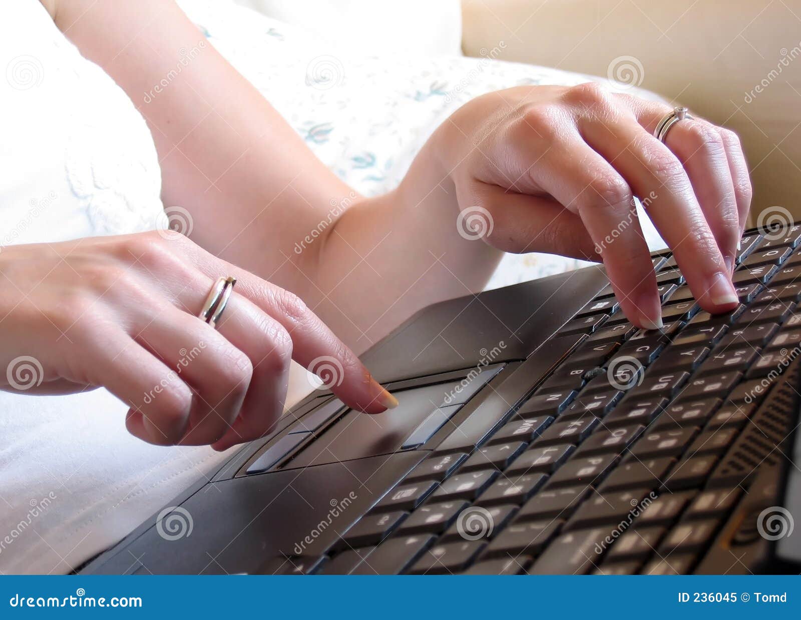 Typing hands stock image. Image of office, hands, woman - 236045
