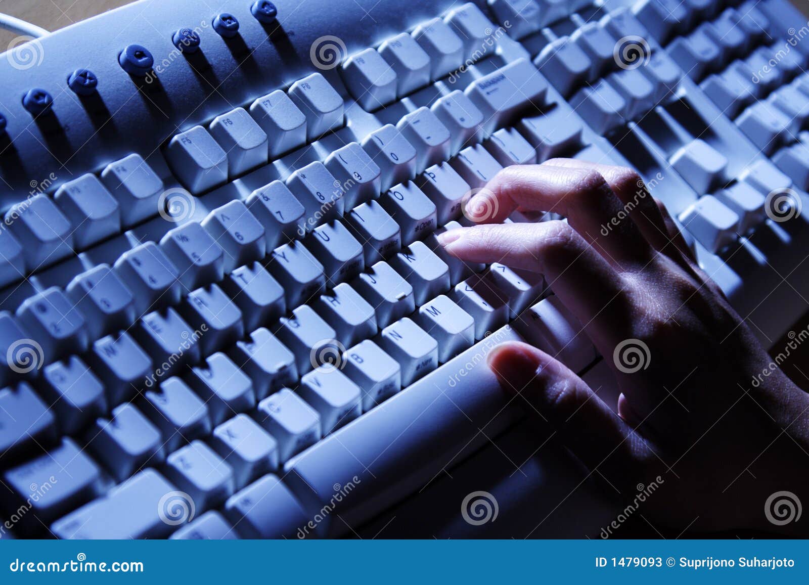 Typing on keyboard stock image. Image of people, finger - 1479093
