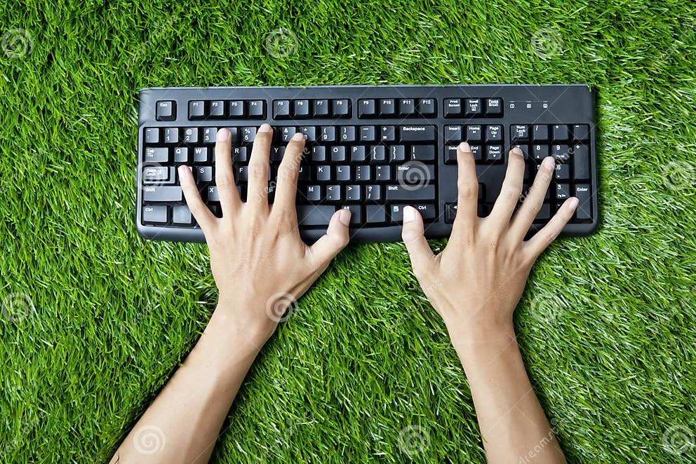 Typing keyboard on grass stock image. Image of electronics - 24208877