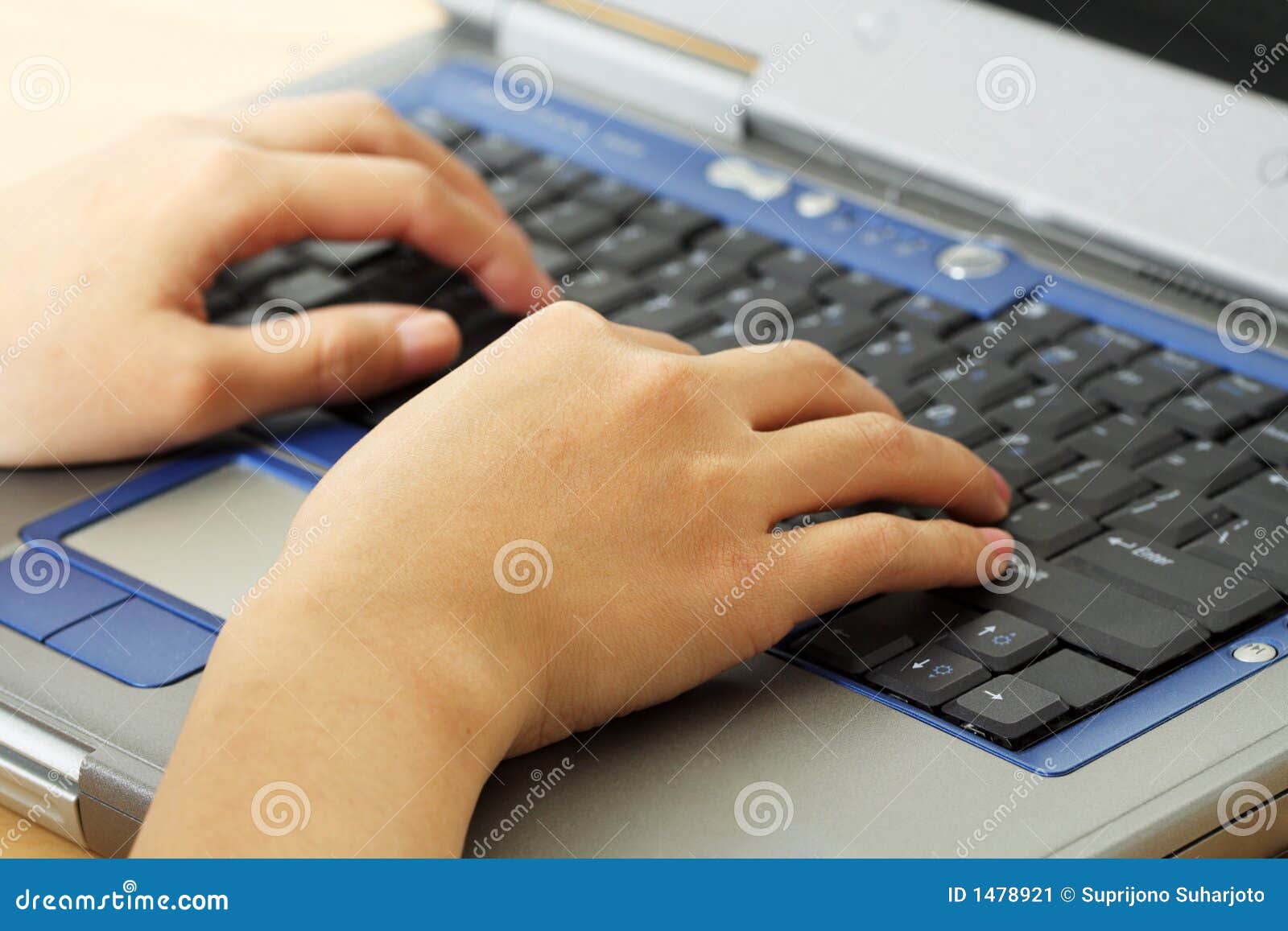 Typing on laptop stock image. Image of typing, woman, office - 1478921