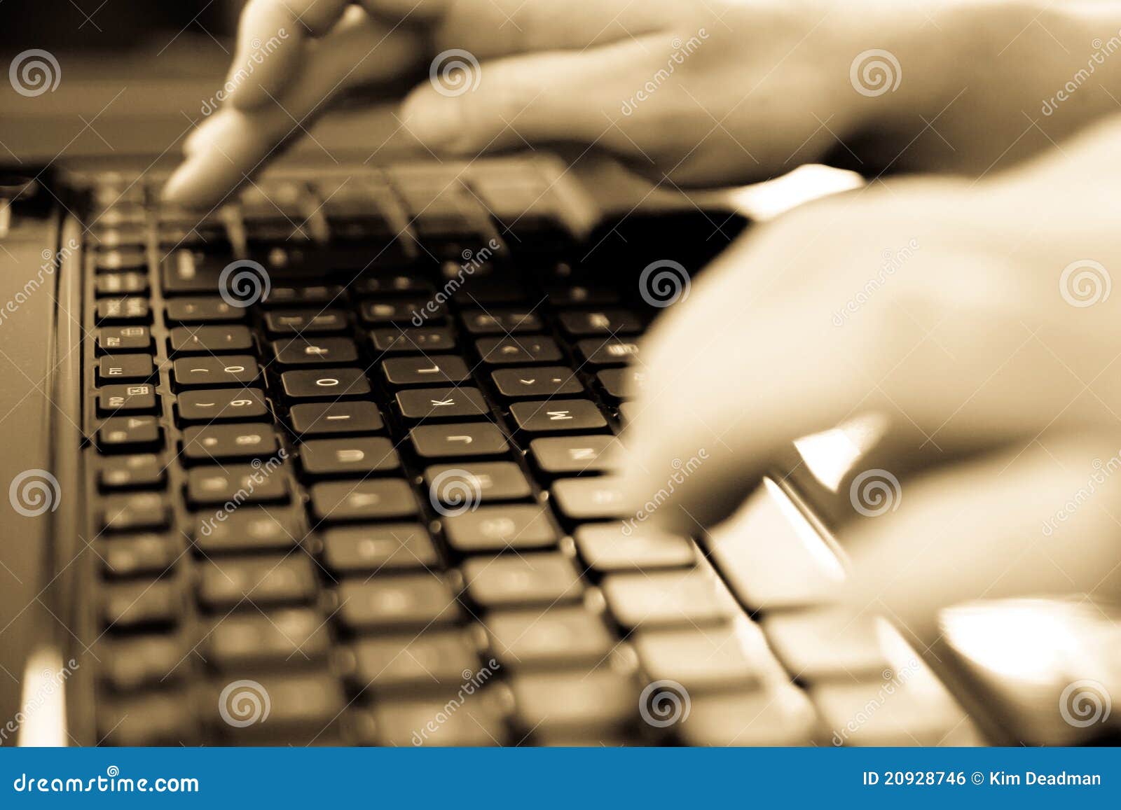 Typing on laptop keyboard stock photo. Image of keyboard - 20928746