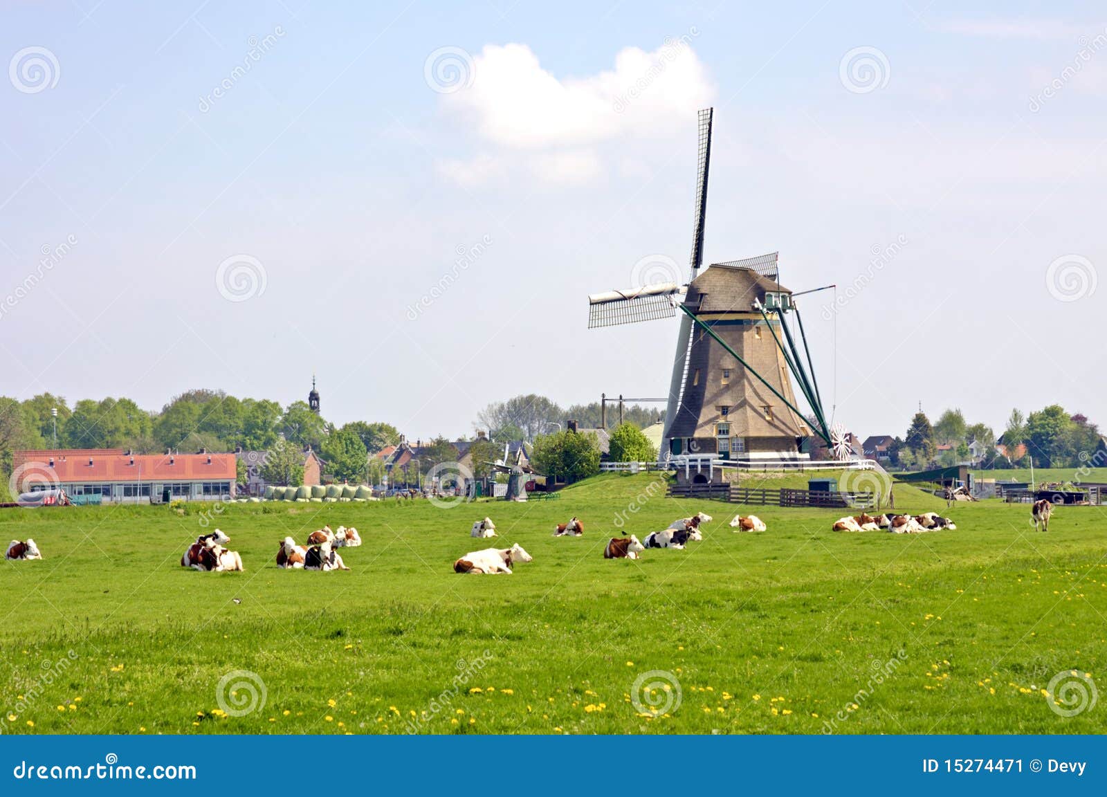 Typisch Nederlands Landschap Stock Afbeelding - Image of architecturaal ...