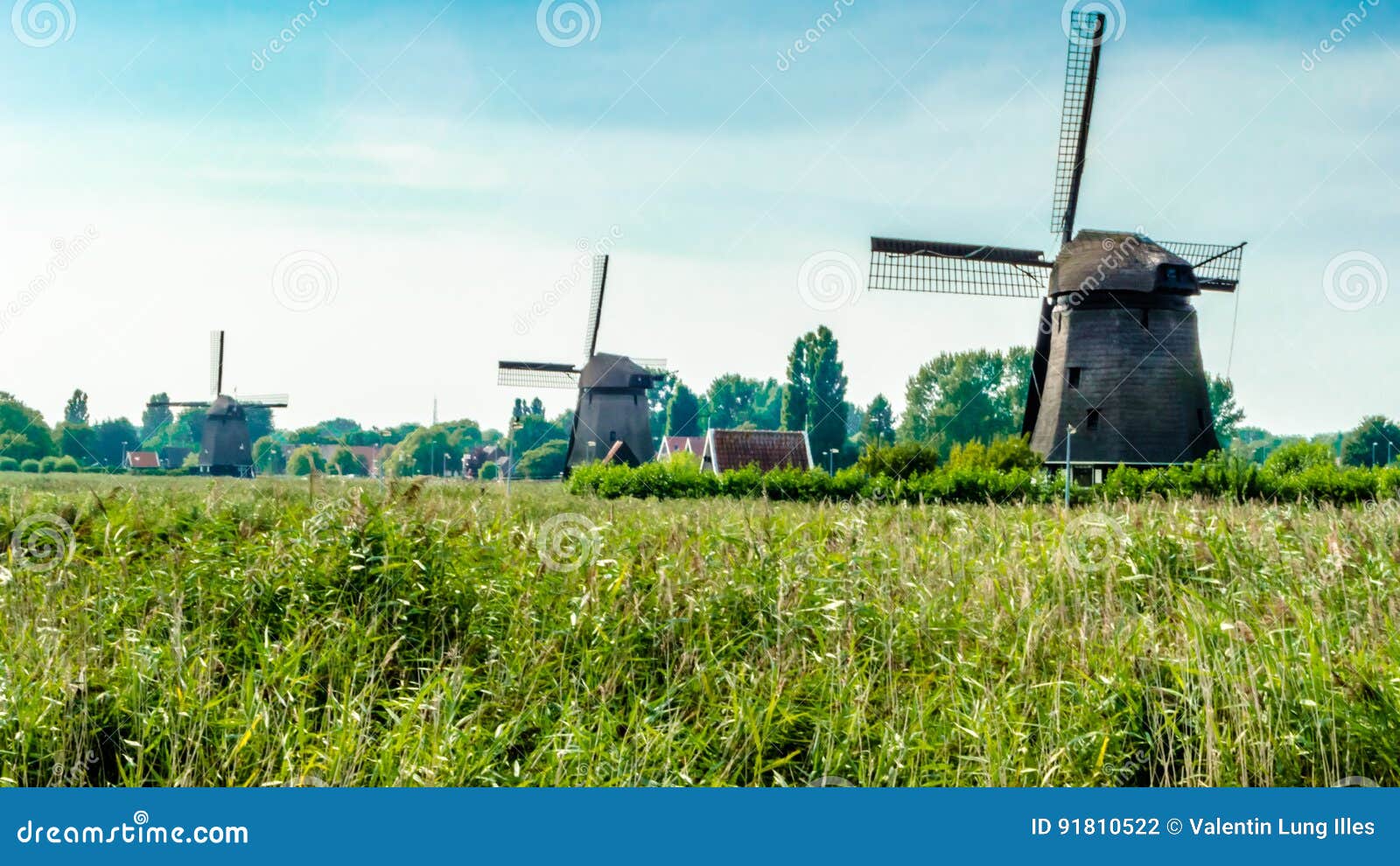 Typisch Nederlands Landschap Stock Foto - Image of windmolen, buiten ...