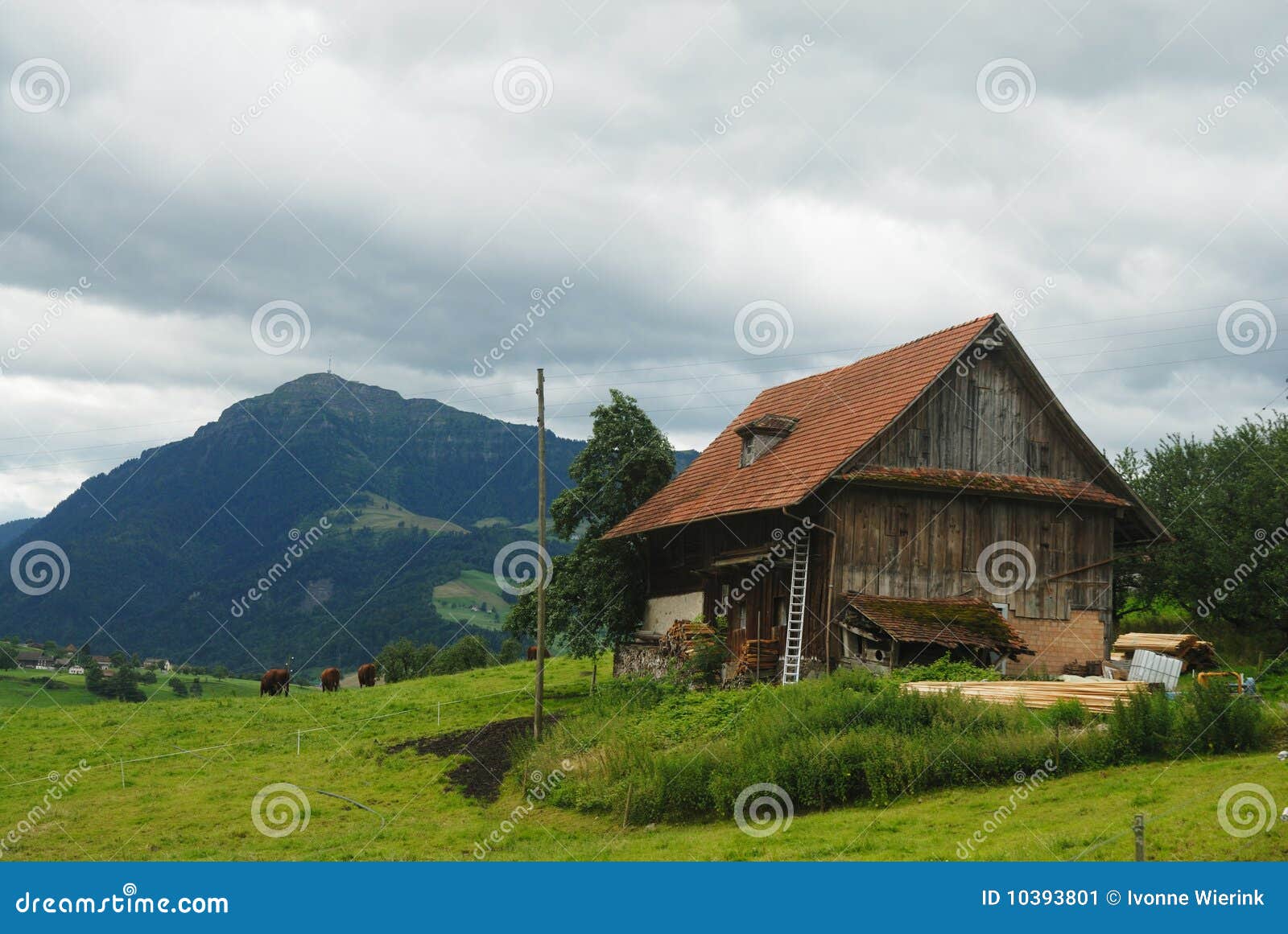 Typischer Stall in Der Schweiz Stockbild - Bild von bauernhof, schweiz ...