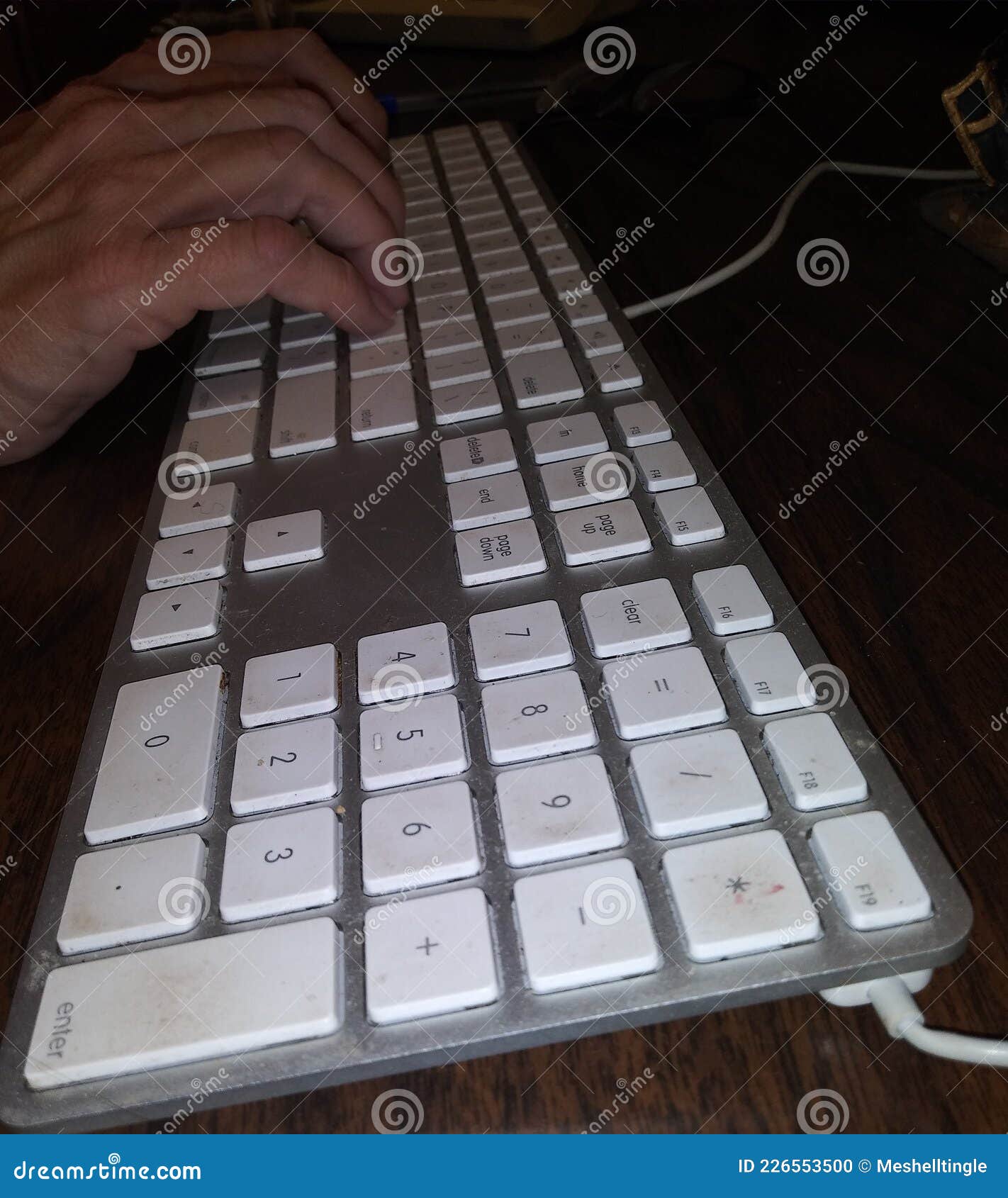 Typist at work stock photo. Image of typist, skill, keyboard - 226553500