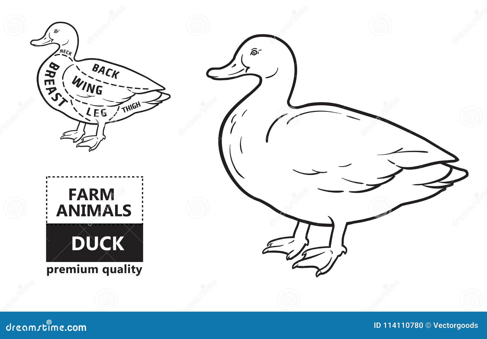 Duck Diagram Cuts. Butcher Scheme Poster. Cuts Of Duck Meat. Meat ...