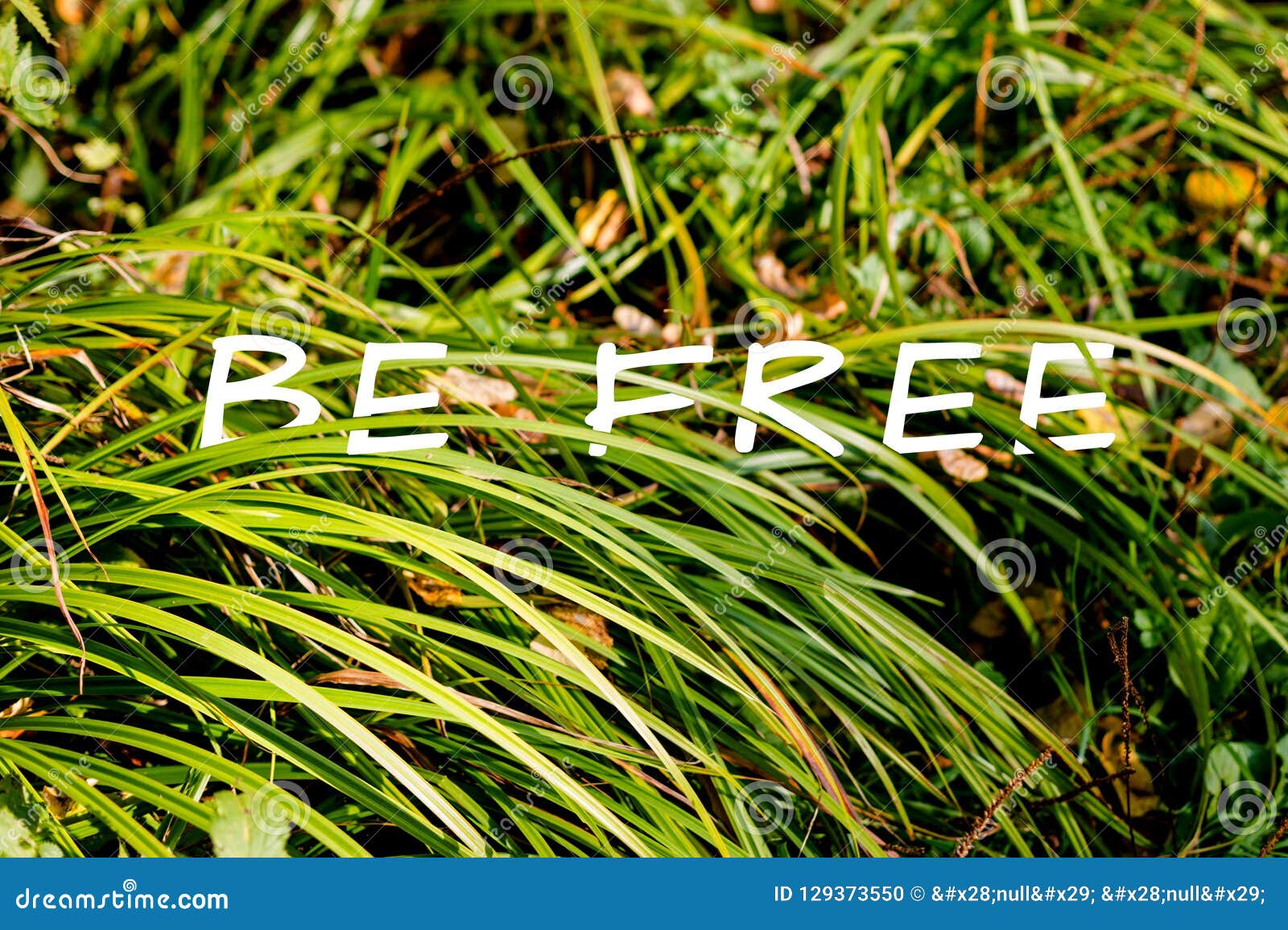 Typography Poster of Be Free on the Green Grass and Be Free Text Stock ...
