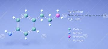 Tyramine Molecule, Molecular Structures, Trace Amine, 3d Model ...
