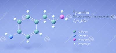 Tyramine Molecule, Molecular Structures, Trace Amine, 3d Model ...