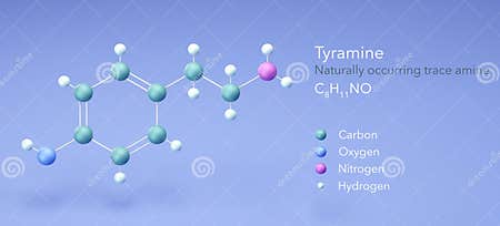 Tyramine Molecule, Molecular Structures, Trace Amine, 3d Model ...