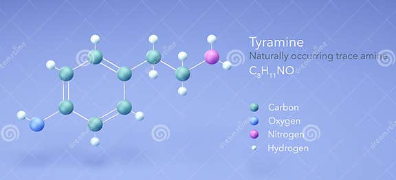Tyramine Molecule, Molecular Structures, Trace Amine, 3d Model ...