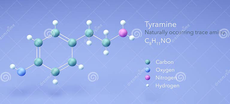 Tyramine Molecule, Molecular Structures, Trace Amine, 3d Model ...