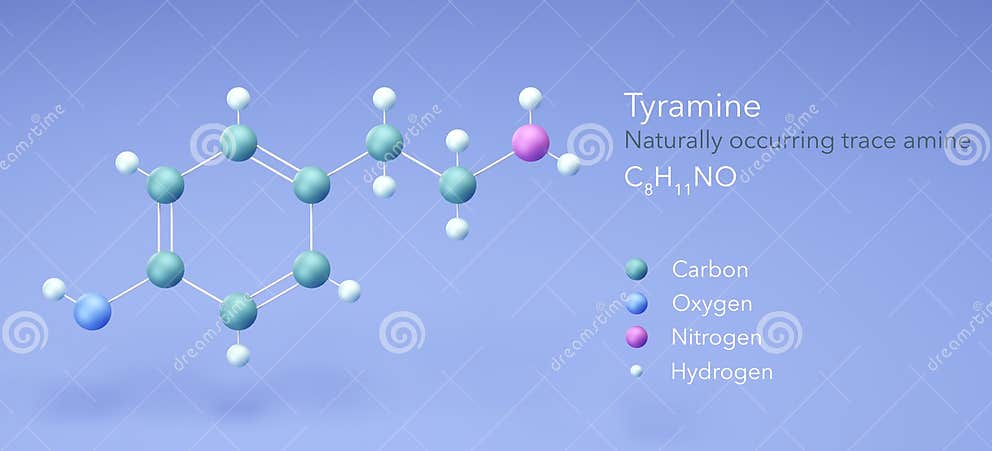 Tyramine Molecule, Molecular Structures, Trace Amine, 3d Model ...