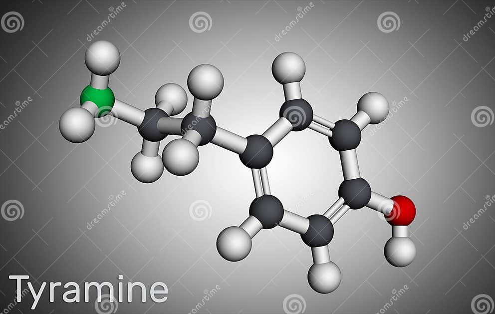 Tyramine, Tyramin Molecule. it is Monoamine Compound Derived from ...