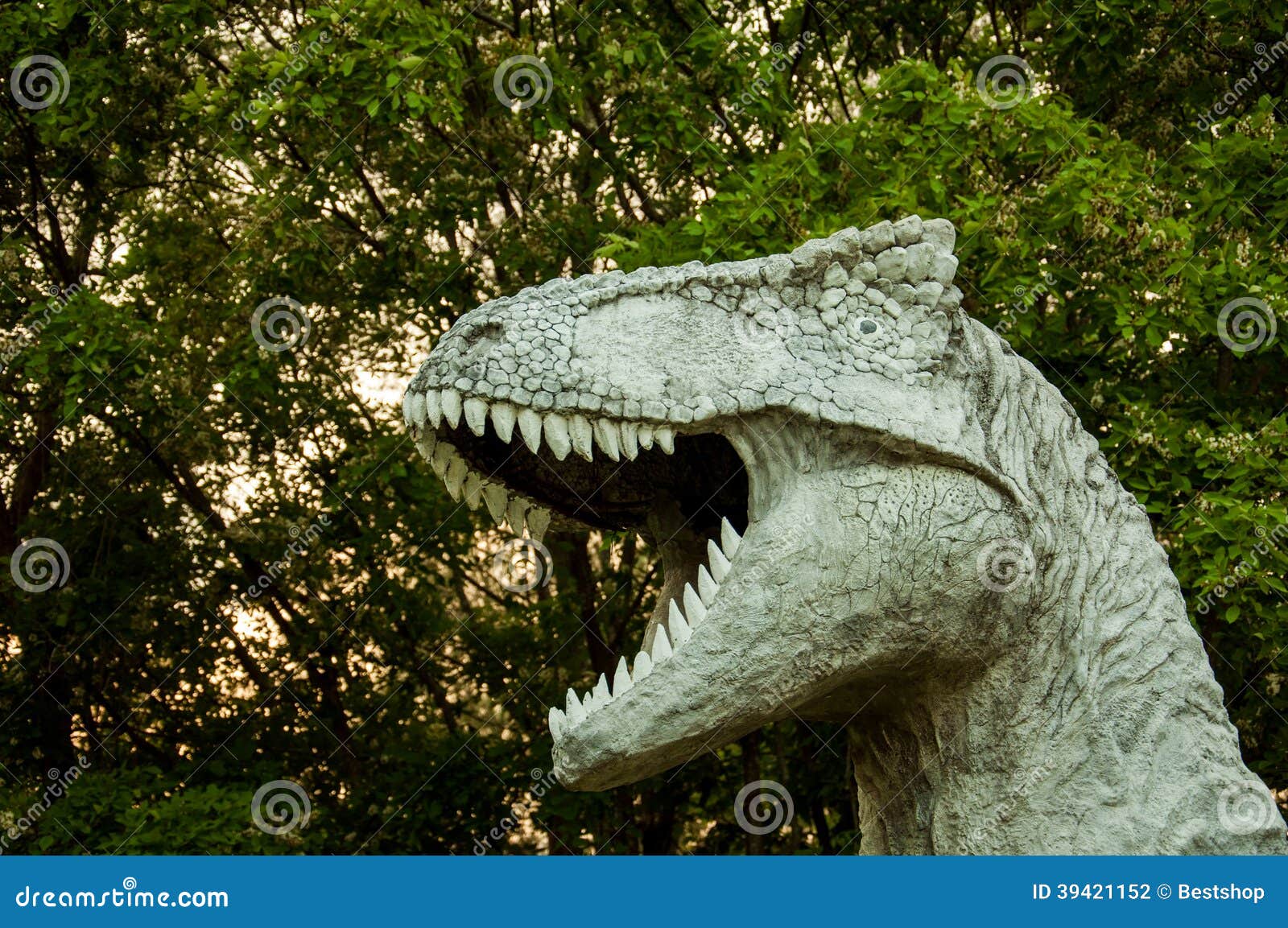 Tyrannosaur stock photo. Image of paleontology, jurassic - 39421152