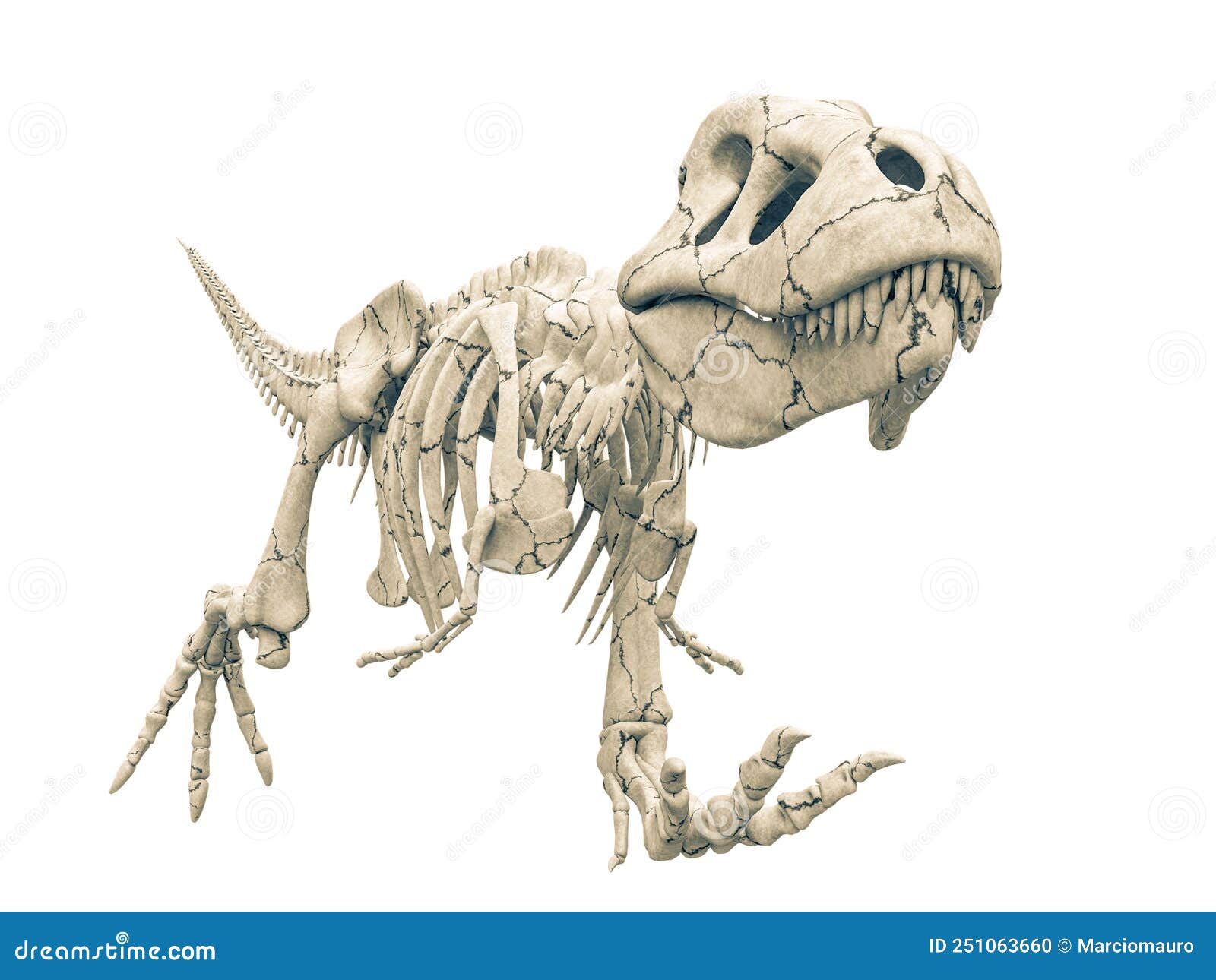 Tyrannosaur Skeleton Fast Run Stock Illustration - Illustration of ...