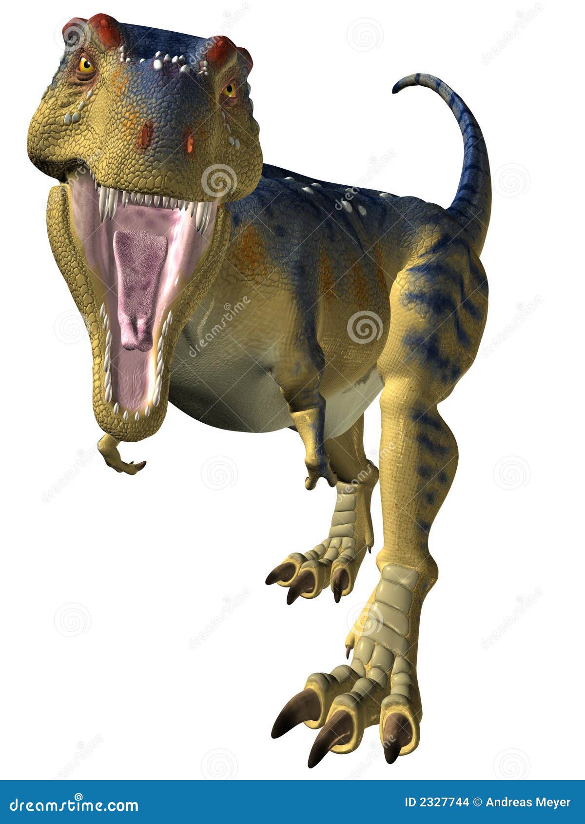 Tyrannosaurus Face. Angry Dinosaur Head. T-Rex Front Vector ...