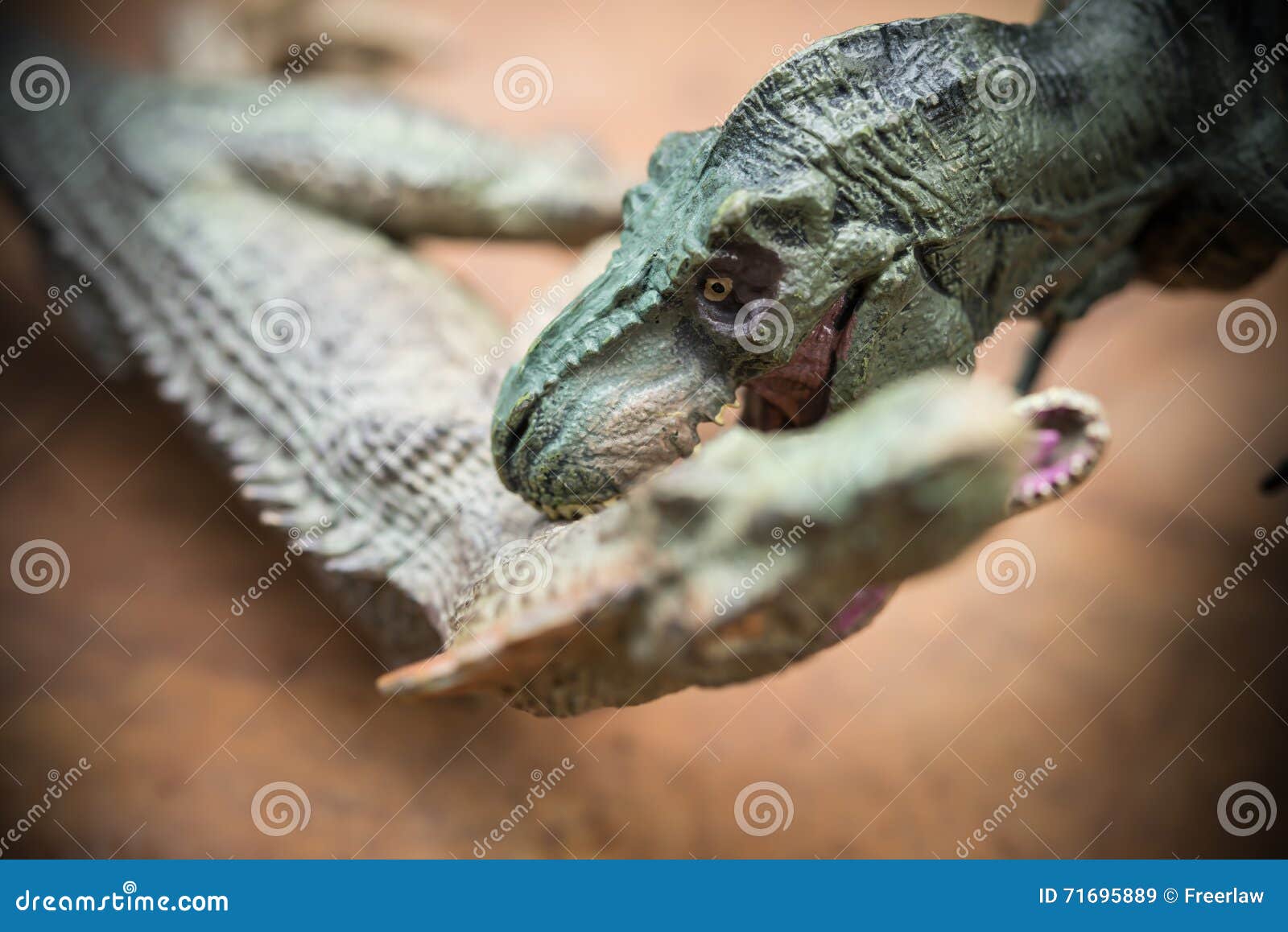 Tyrannosaurus Biting Allosaurus Stock Image - Image of horror ...