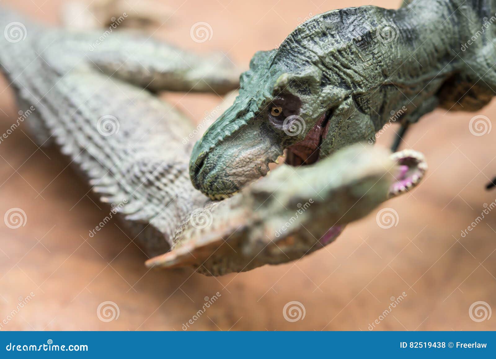 Tyrannosaurus Biting Allosaurus Stock Photo - Image of fighting ...