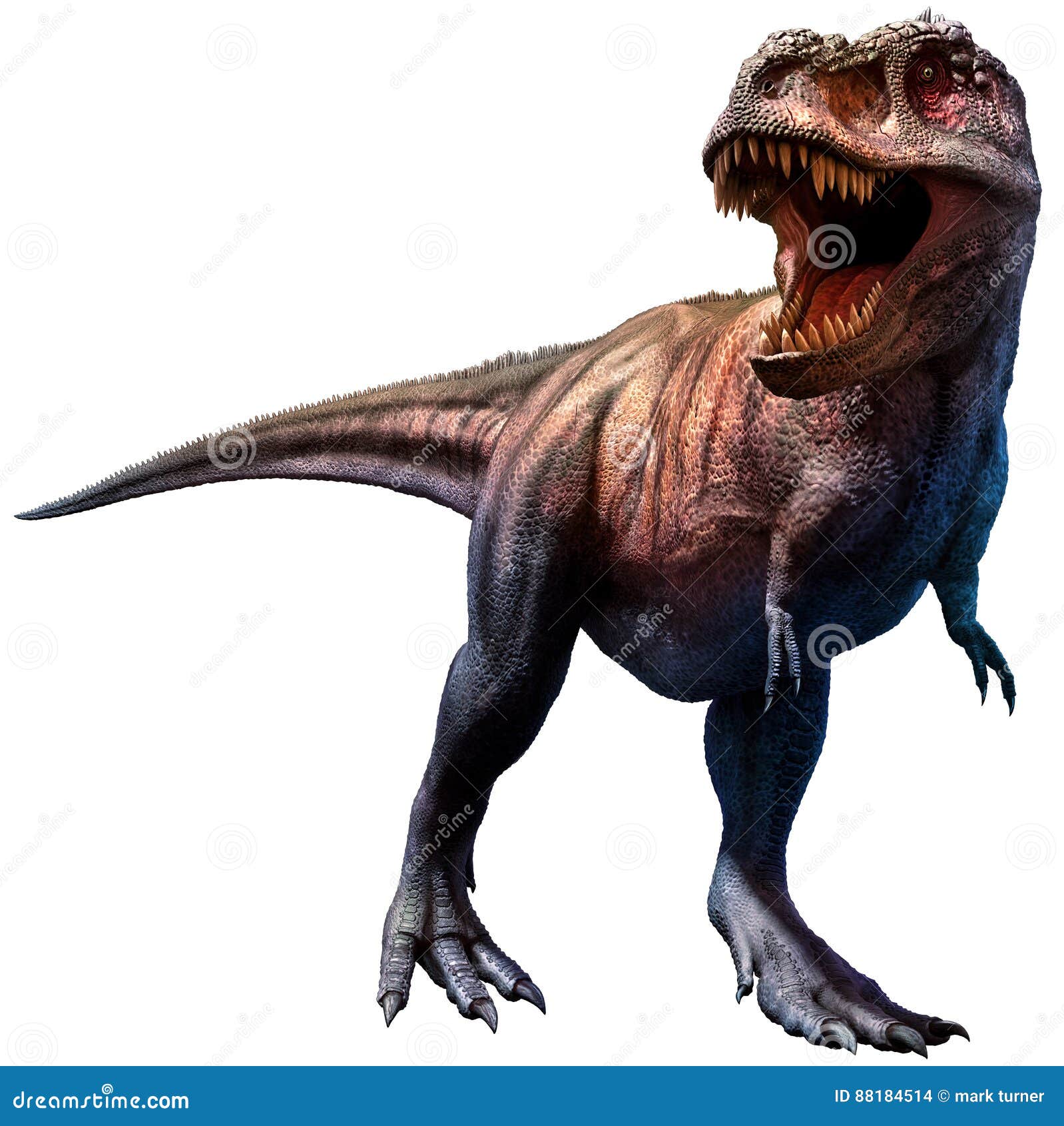 Fat Tyrannosaurus Rex Stock Photo | CartoonDealer.com #168323244