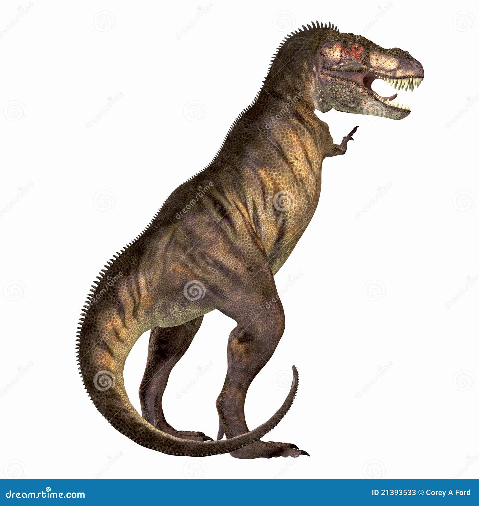 Tyrannosaurus Rex, King Of Dinosaur Royalty-Free Stock Image ...