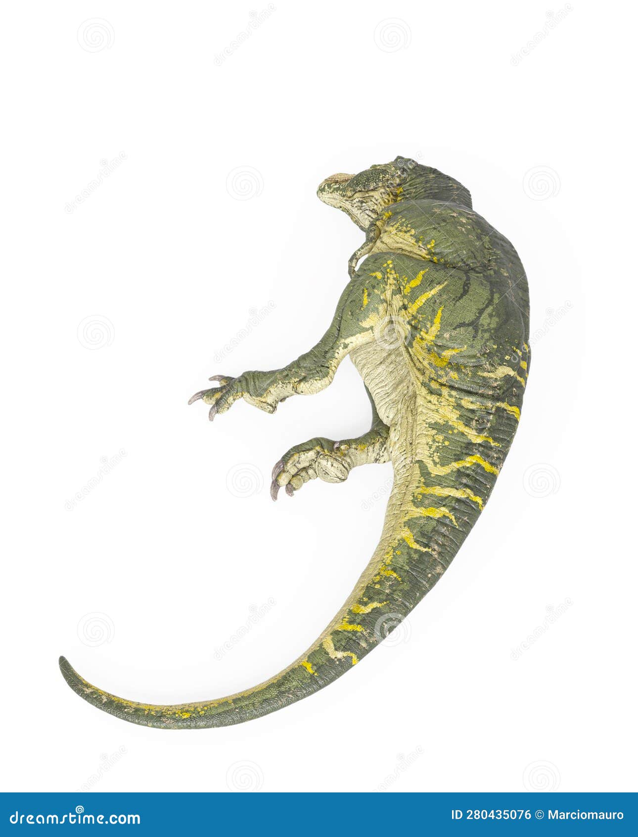 Tyrannosaurus Rex is Dead in White Background Top Rear View Stock ... Tyrannosaurus Rex is Dead in White Background Top Rear View Stock ...