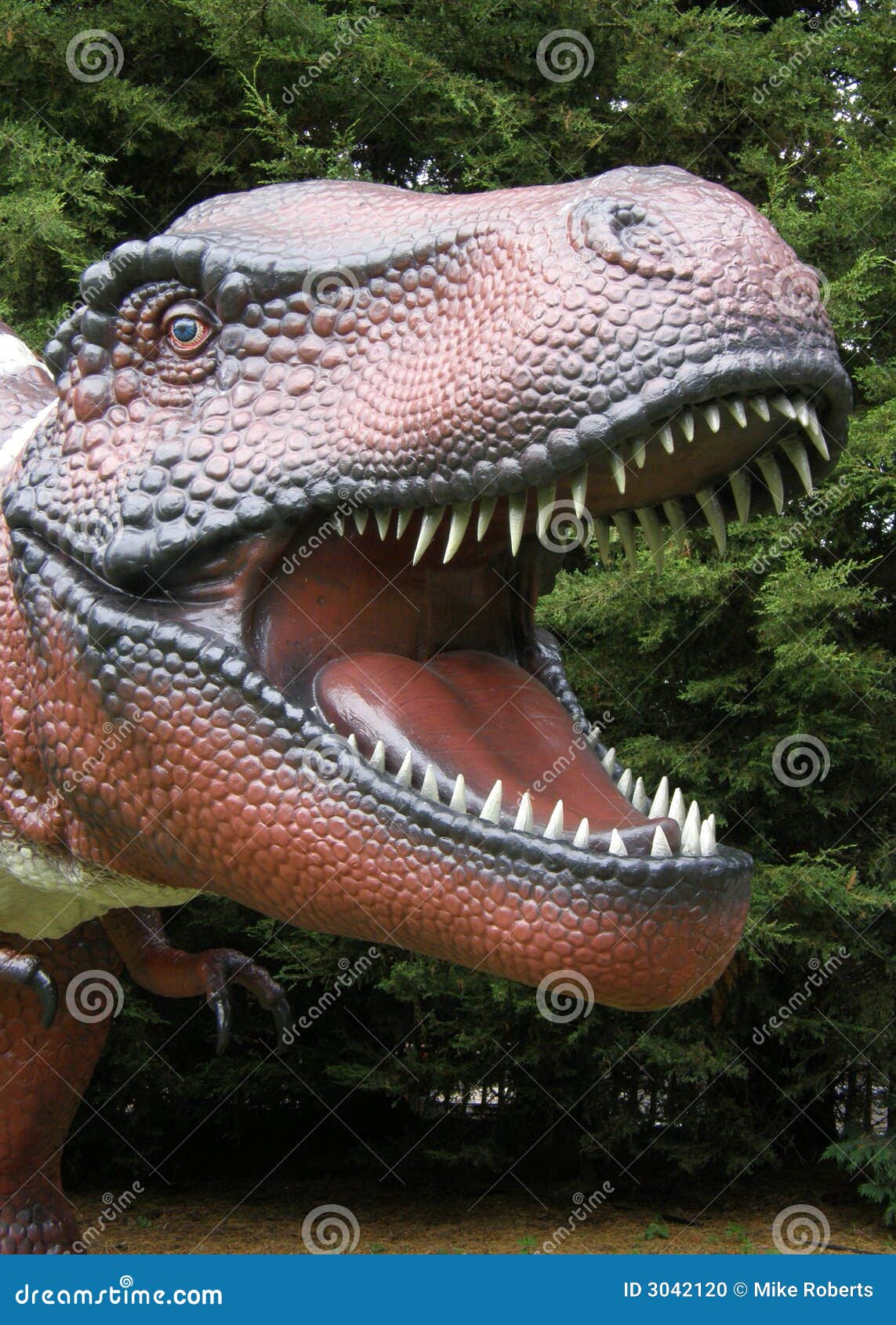 Tyrannosaurus Rex Head stock photo. Image of tongue, dinosaur - 3042120