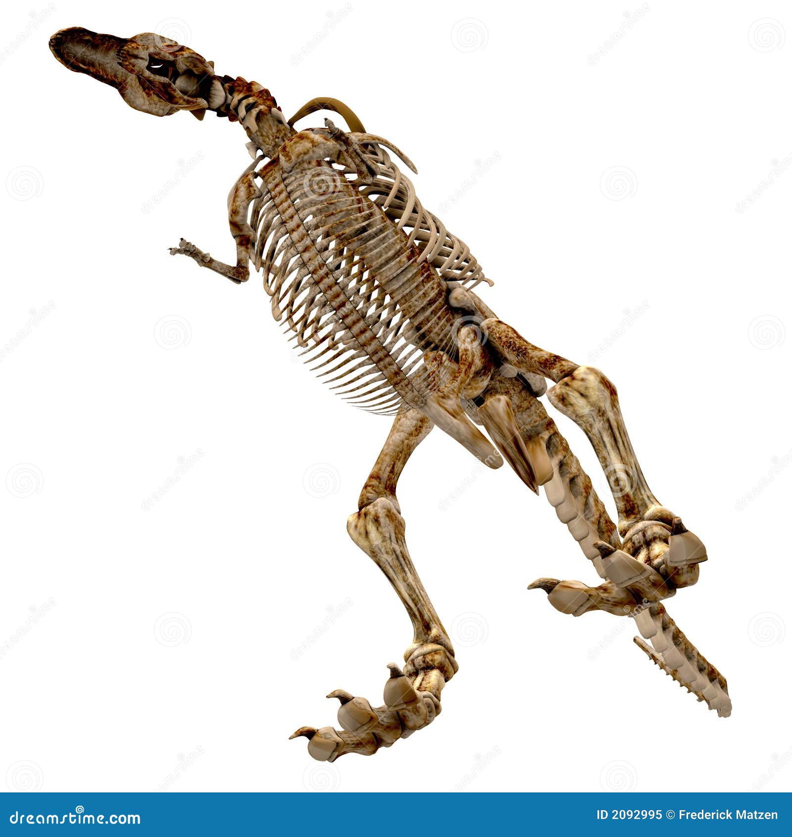 Tyrannosaurus Rex Skeleton stock illustration. Illustration of isolated ...
