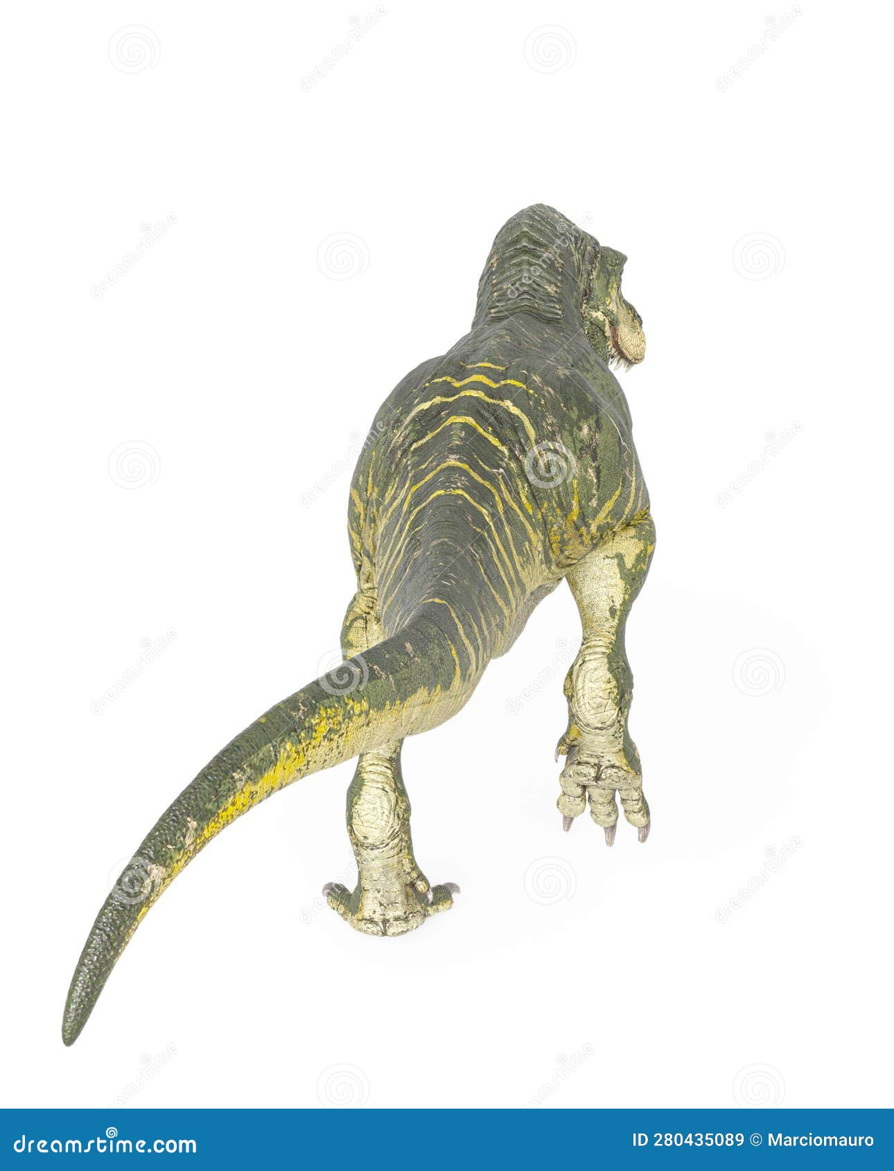 Tyrannosaurus Rex is Walking Like a King in White Background Top Rear ... Tyrannosaurus Rex is Walking Like a King in White Background Top Rear ...