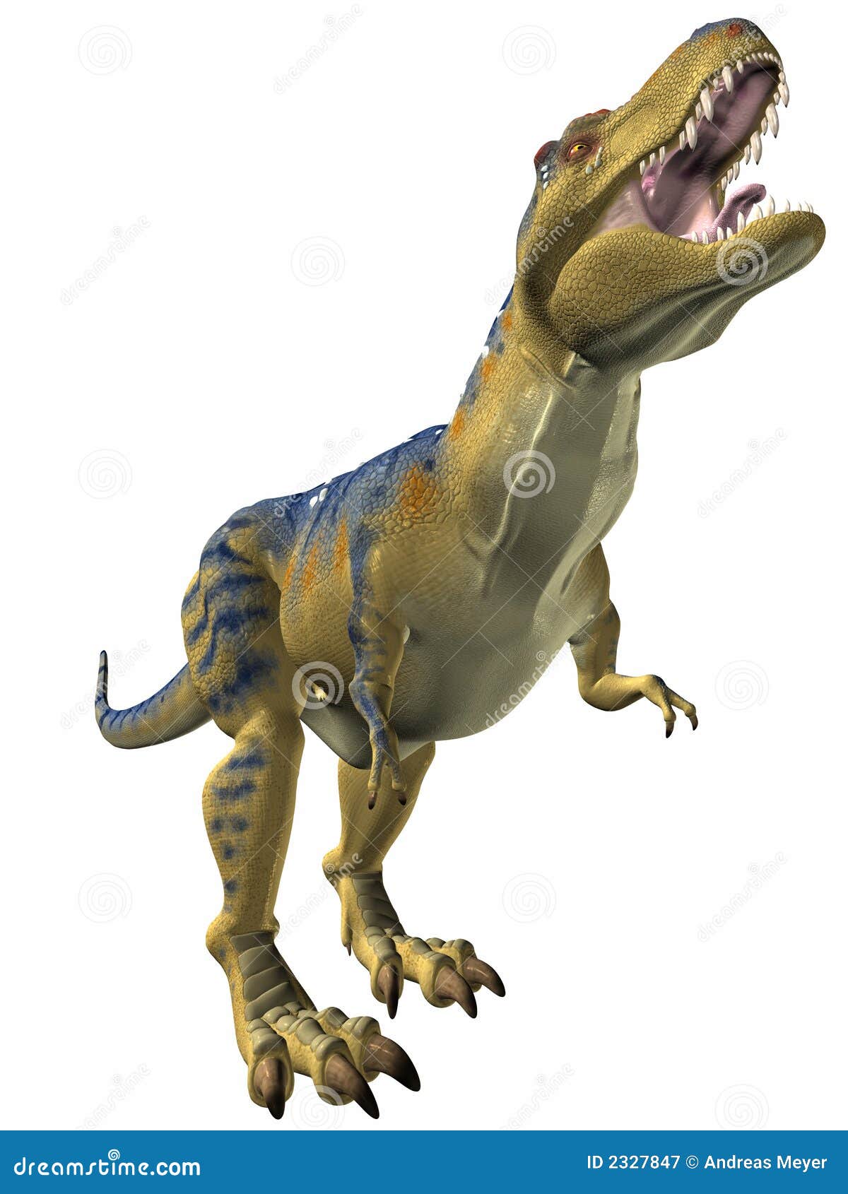 Tyrannosaurus Face. Angry Dinosaur Head. T-Rex Front Vector ...