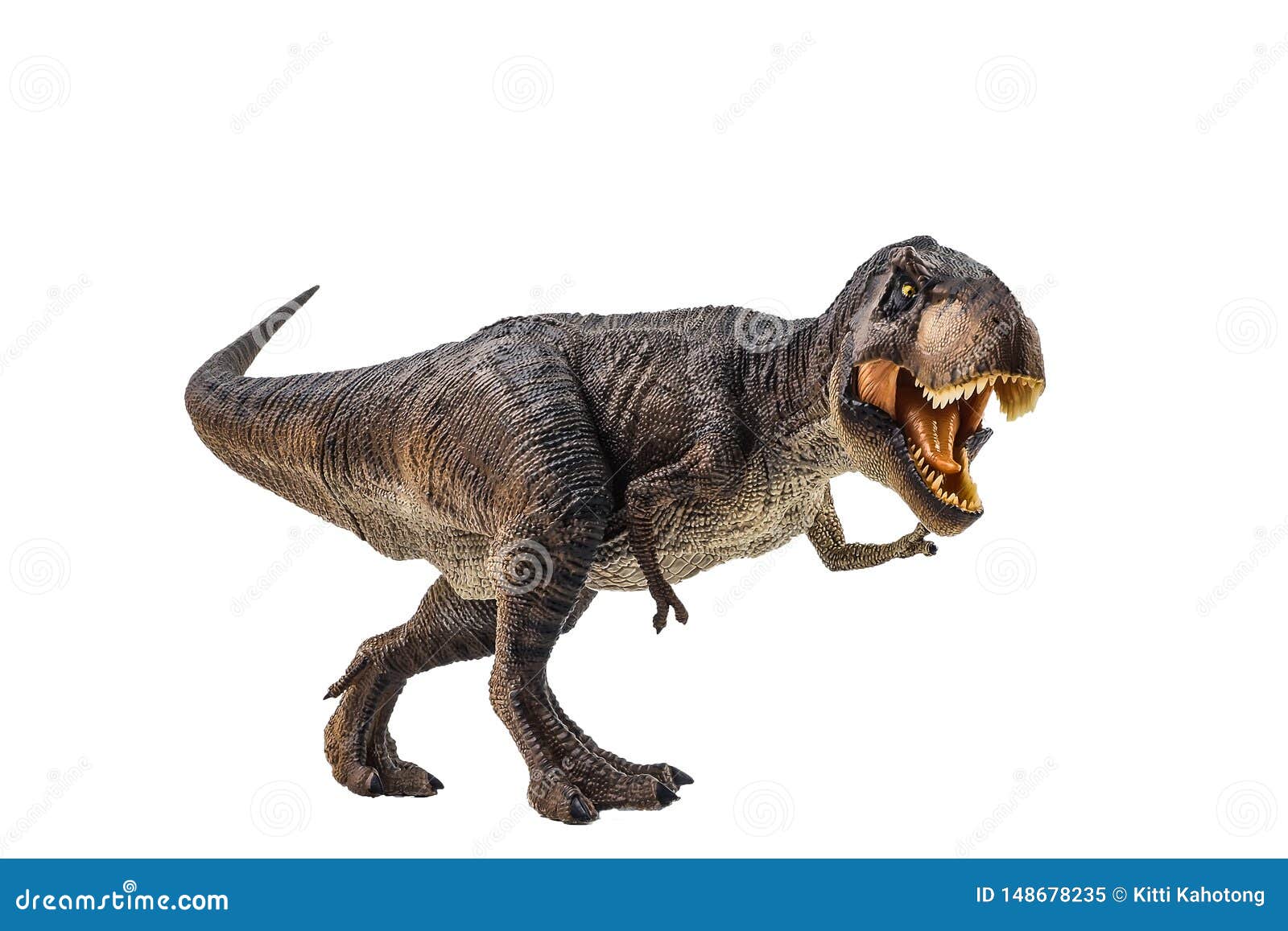 Tyrannosaurus T-rex ,dinosaur on White Background Stock Image - Image ...
