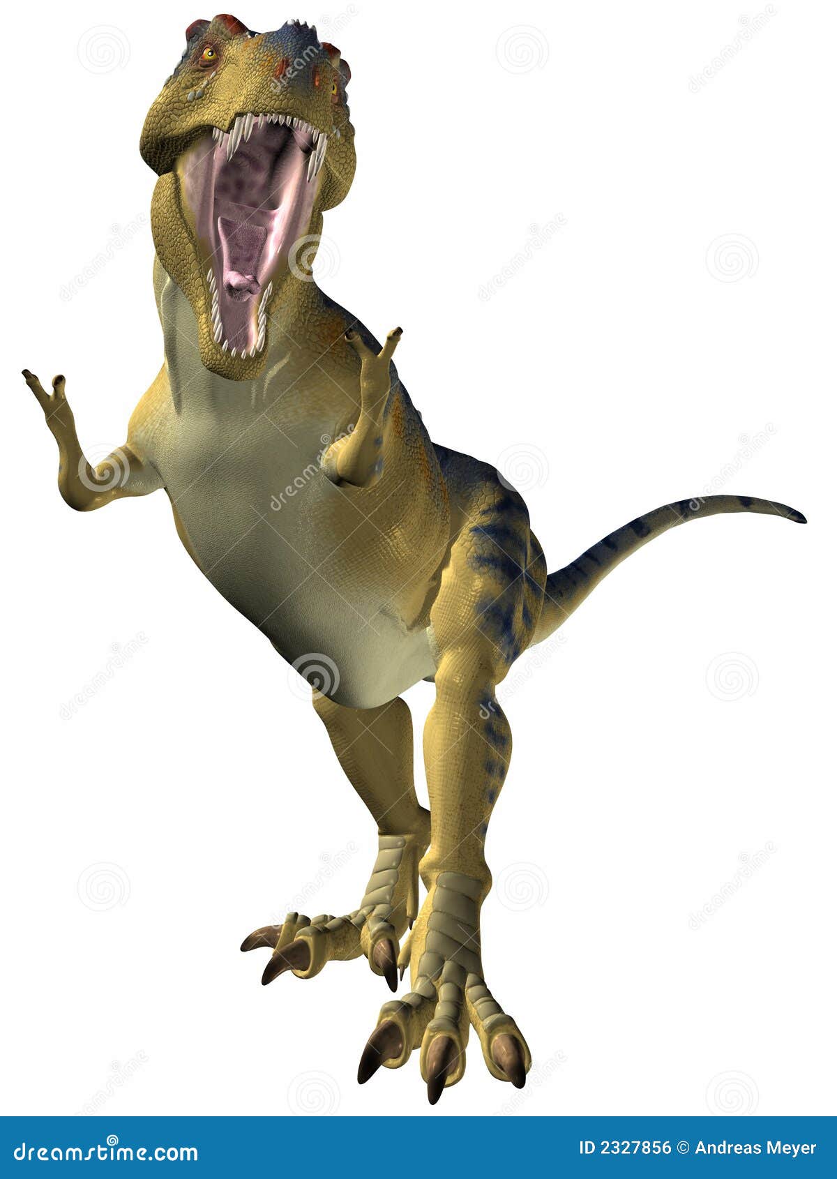 Tyrannosaurus Face. Angry Dinosaur Head. T-Rex Front Vector ...