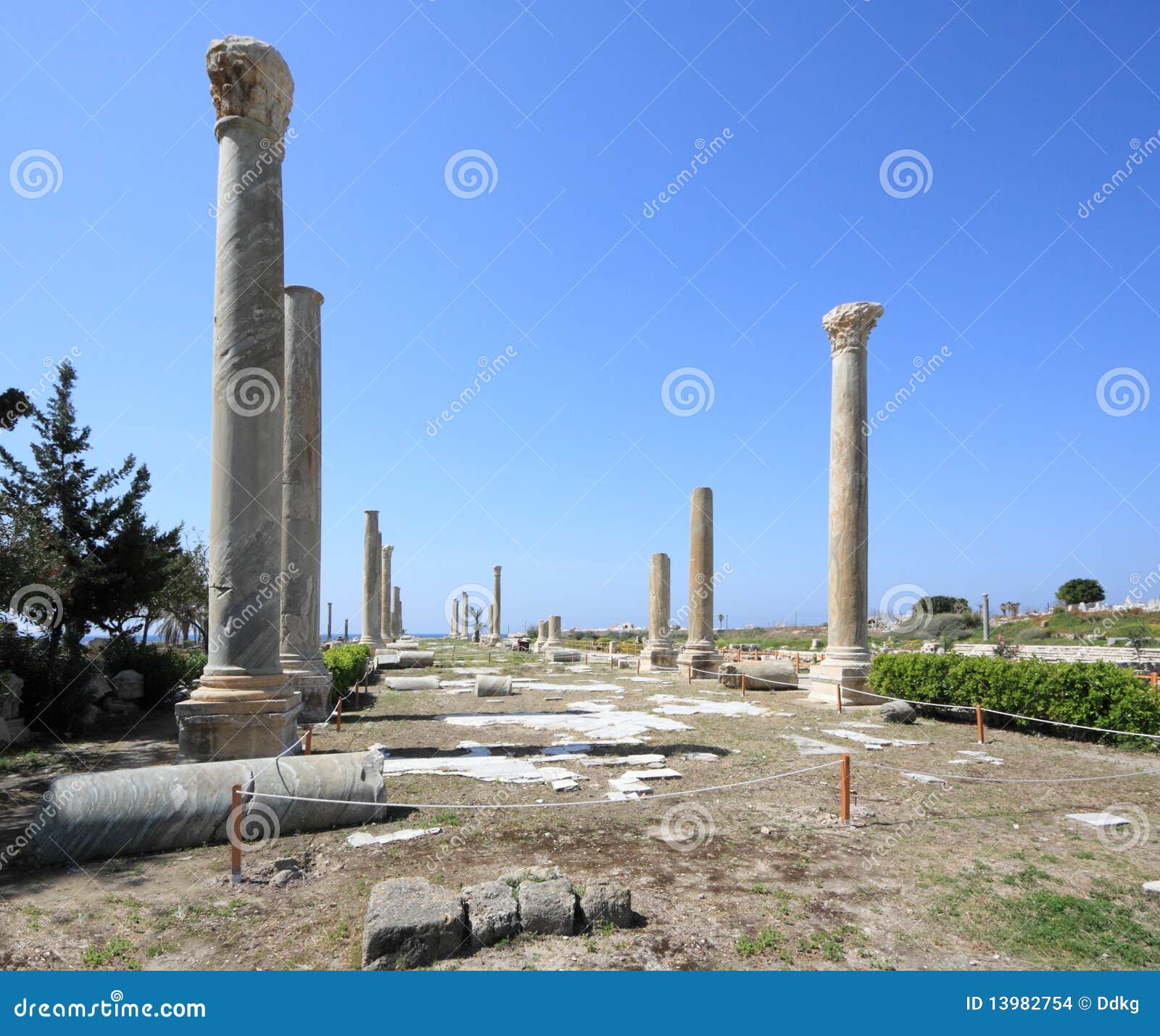 Tyre, Lebanon stock photo. Image of tyre, lebanon, road - 13982754