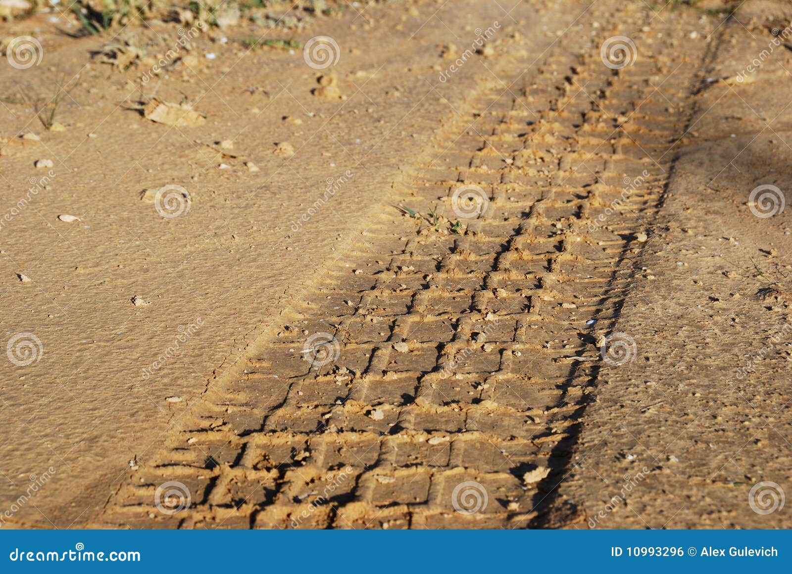 Tyre trace stock photo. Image of trail, dirt, rural, scar - 10993296